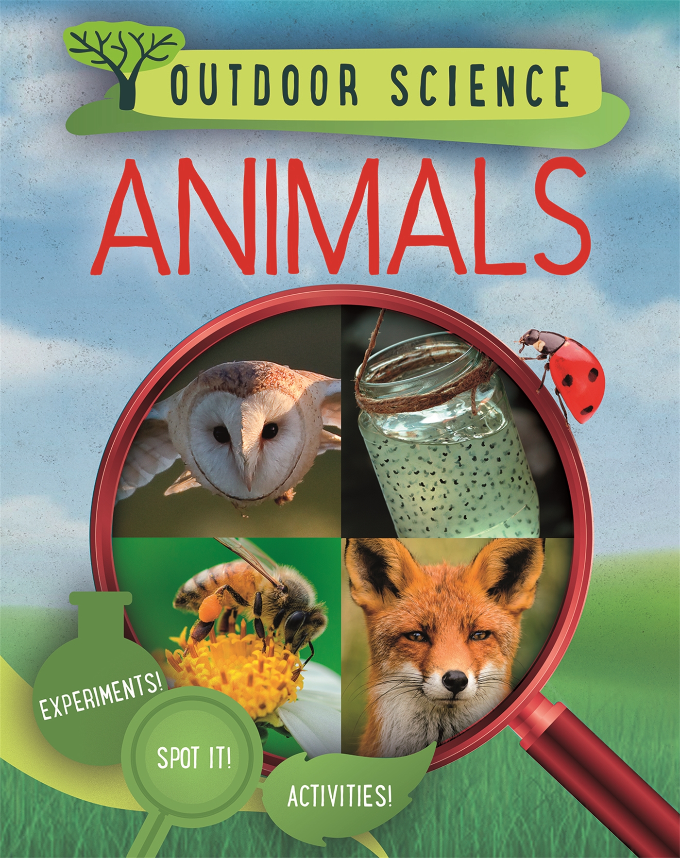 Outdoor Science Animals Hachette Schools outdoor-science-animals-hachette-schools