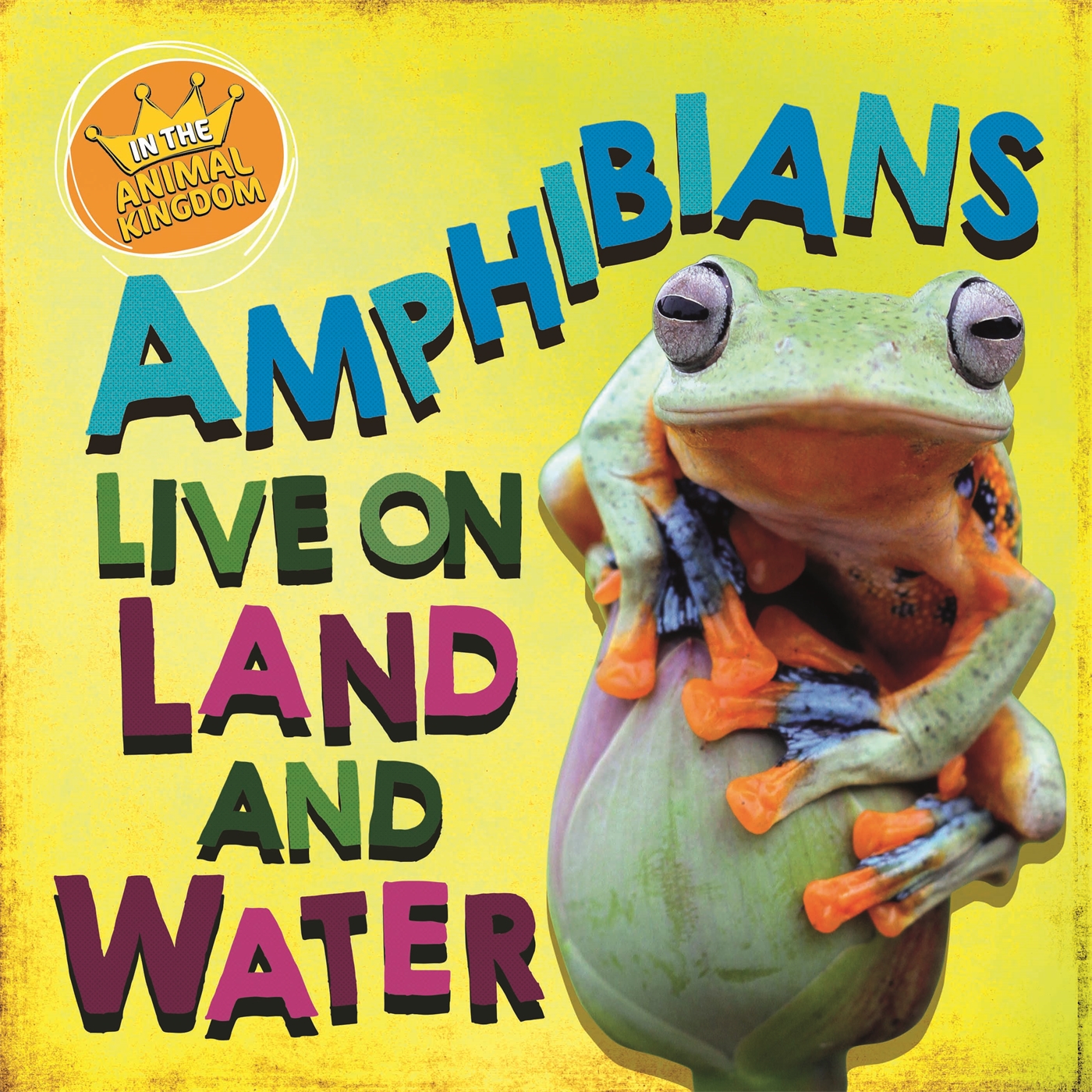 In the Animal Kingdom: Amphibians Live on Land and in Water - Hachette ...
