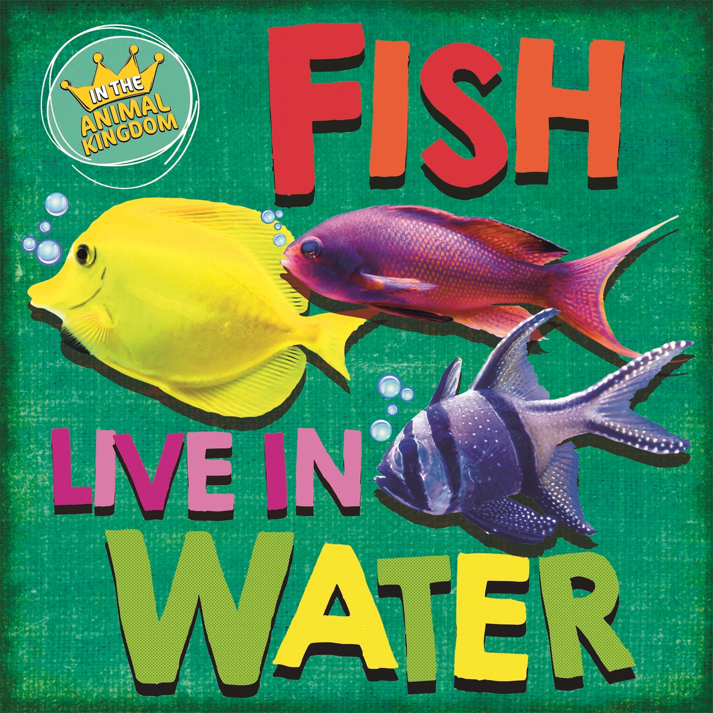 In the Animal Kingdom: Fish Live in Water - Hachette Schools