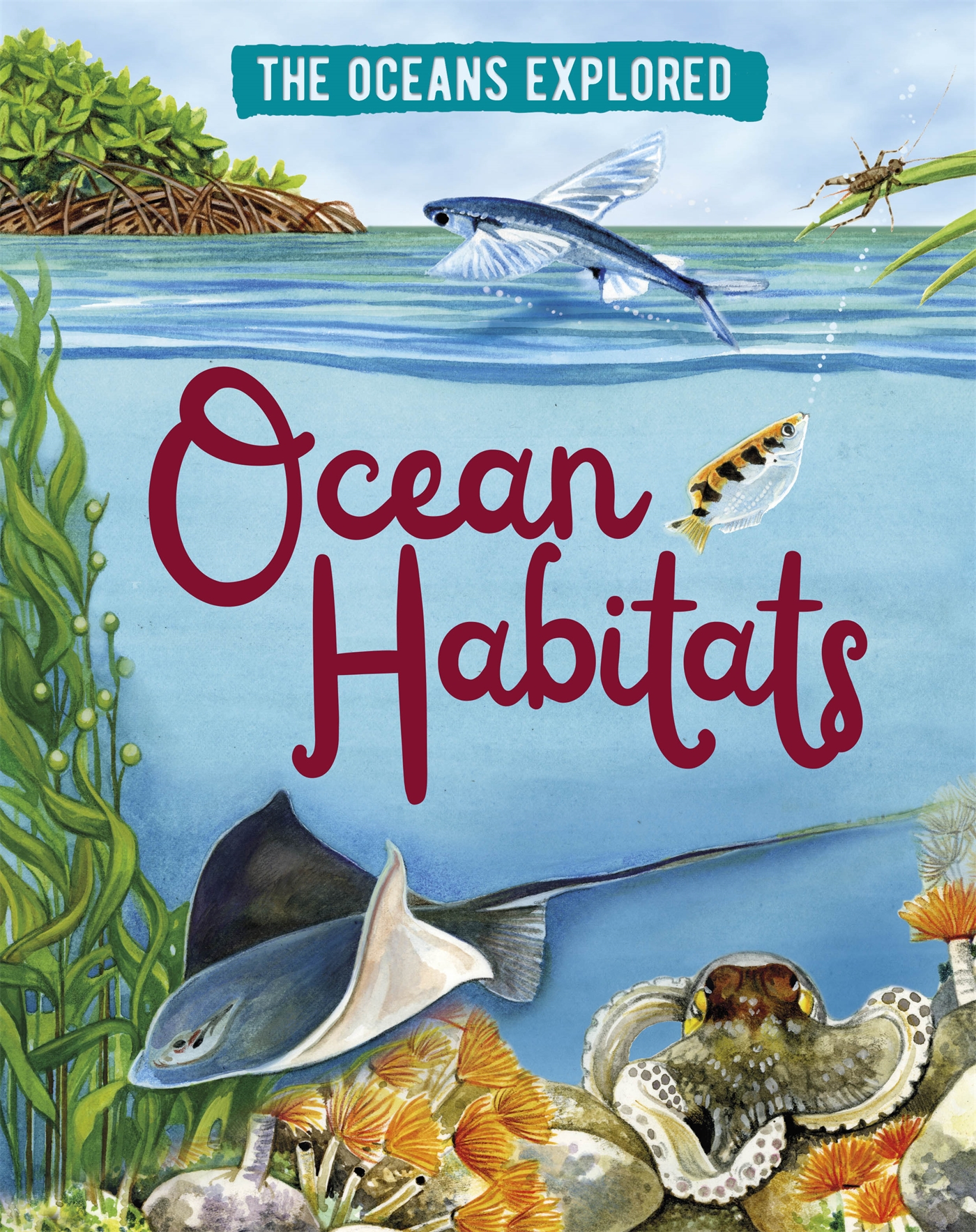 The Oceans Explored: Ocean Habitats - Hachette Schools