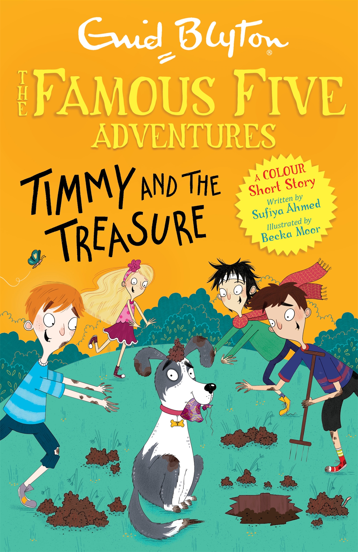 Famous Five Colour Short Stories: Timmy and the Treasure - Hachette Schools