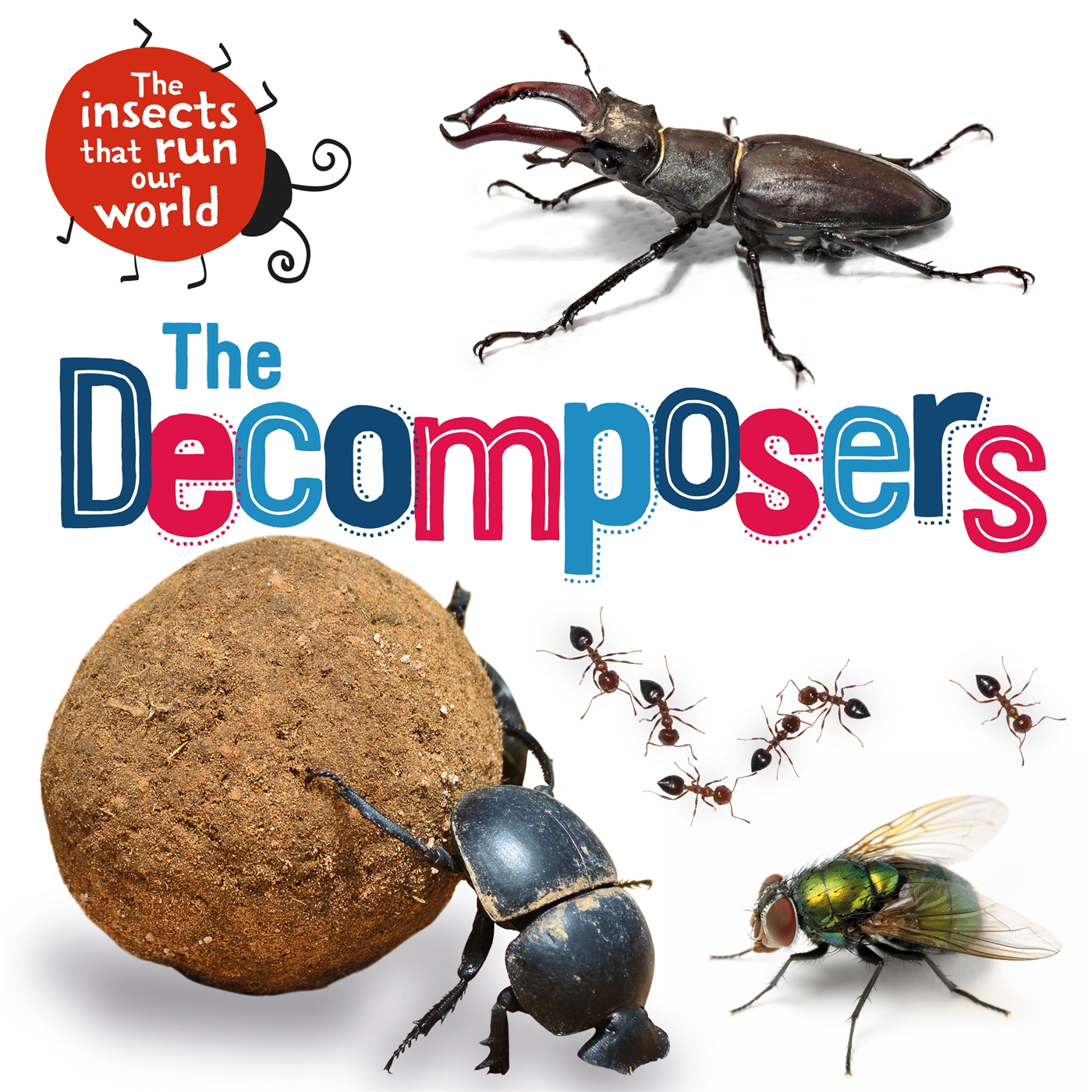 The Insects that Run Our World: The Decomposers - Hachette Schools