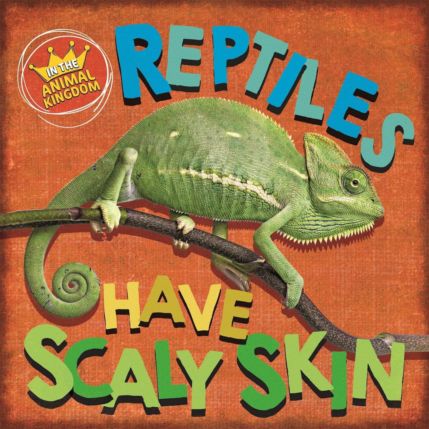 Hachette Schools In the Animal Kingdom: Reptiles Have Scaly Skin ...