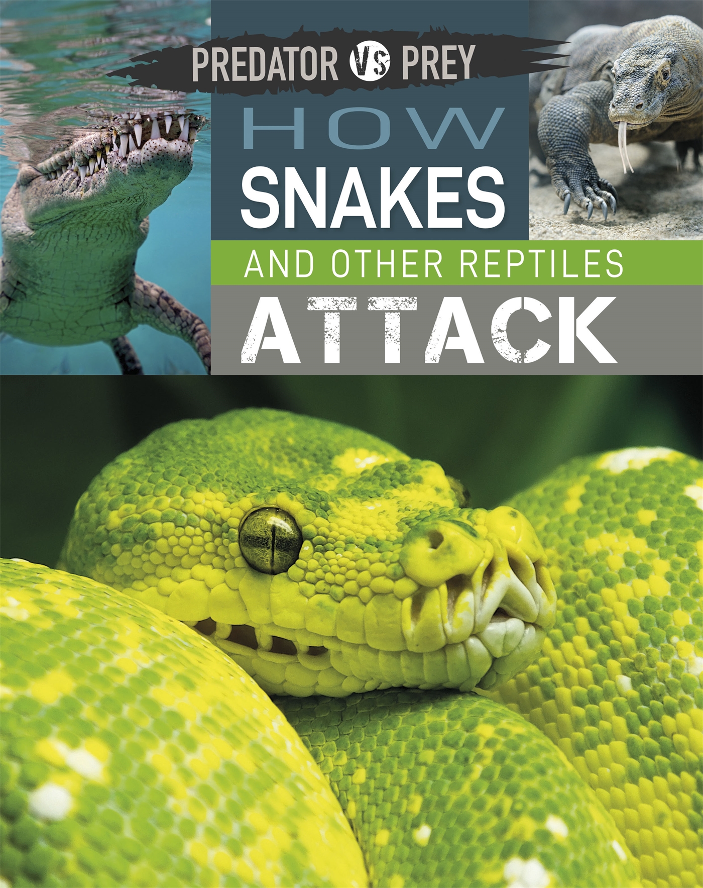 Predator vs Prey: How Snakes and other Reptiles Attack - Hachette Schools