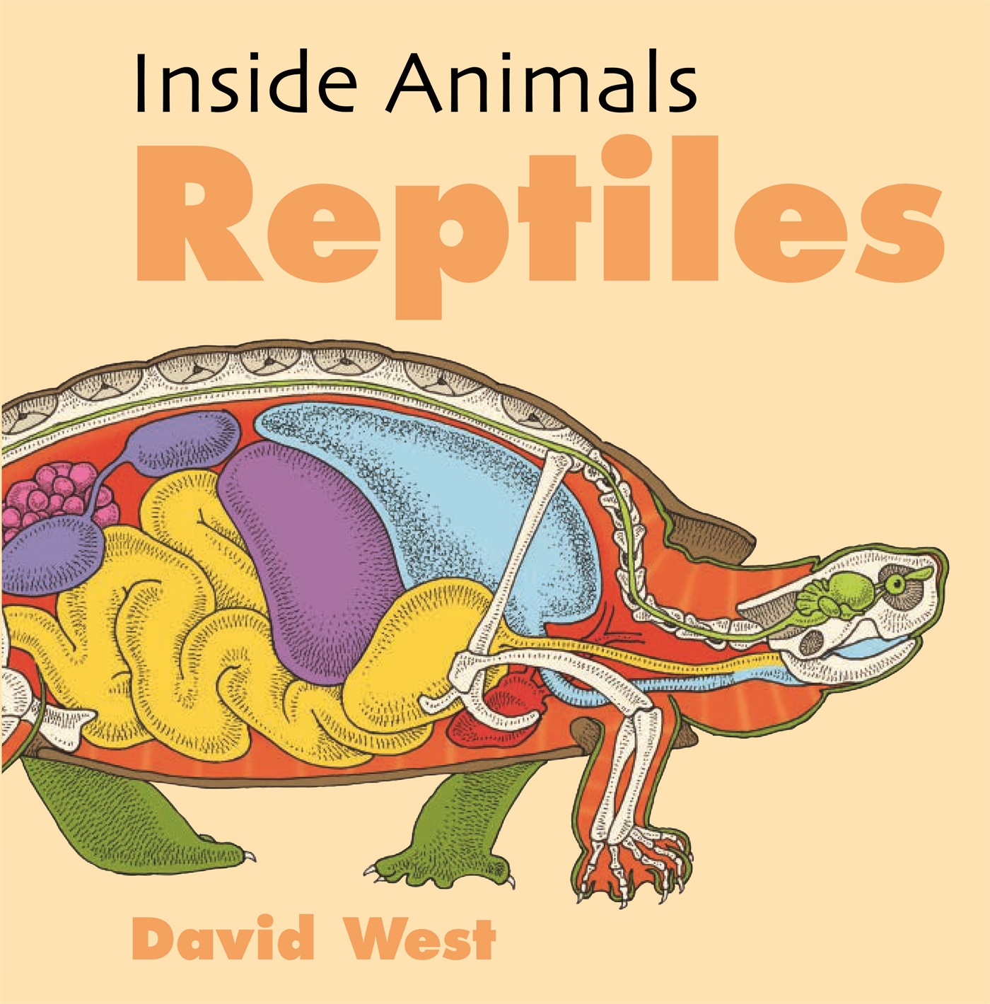 Inside Animals: Reptiles - Hachette Schools