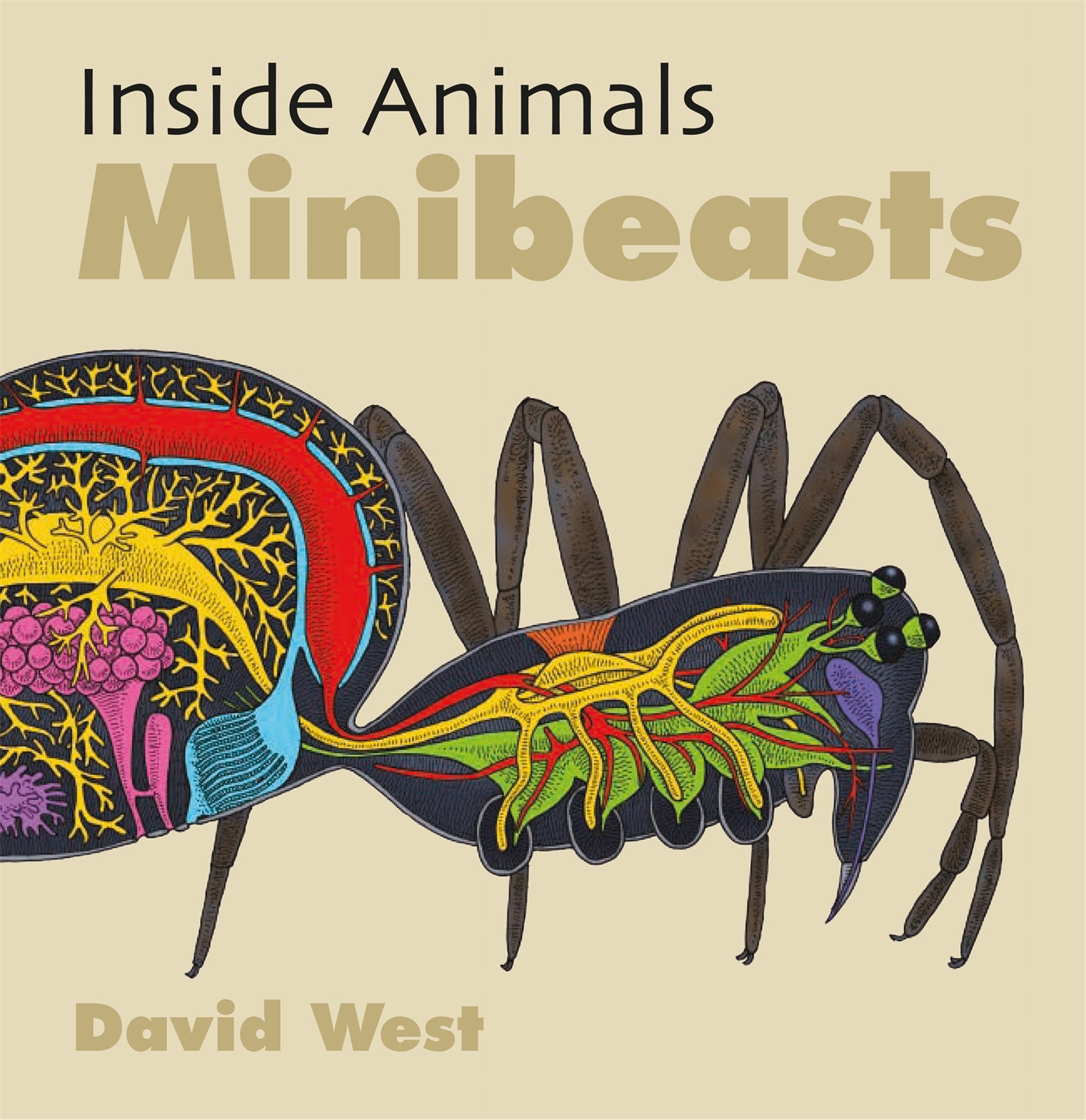 Inside Animals: Minibeasts - Hachette Schools