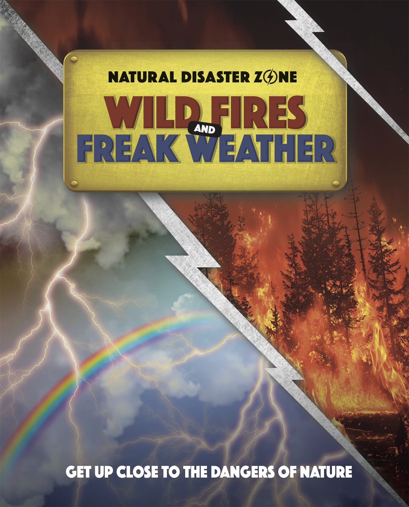Natural Disaster Zone: Wildfires and Freak Weather - Hachette Schools