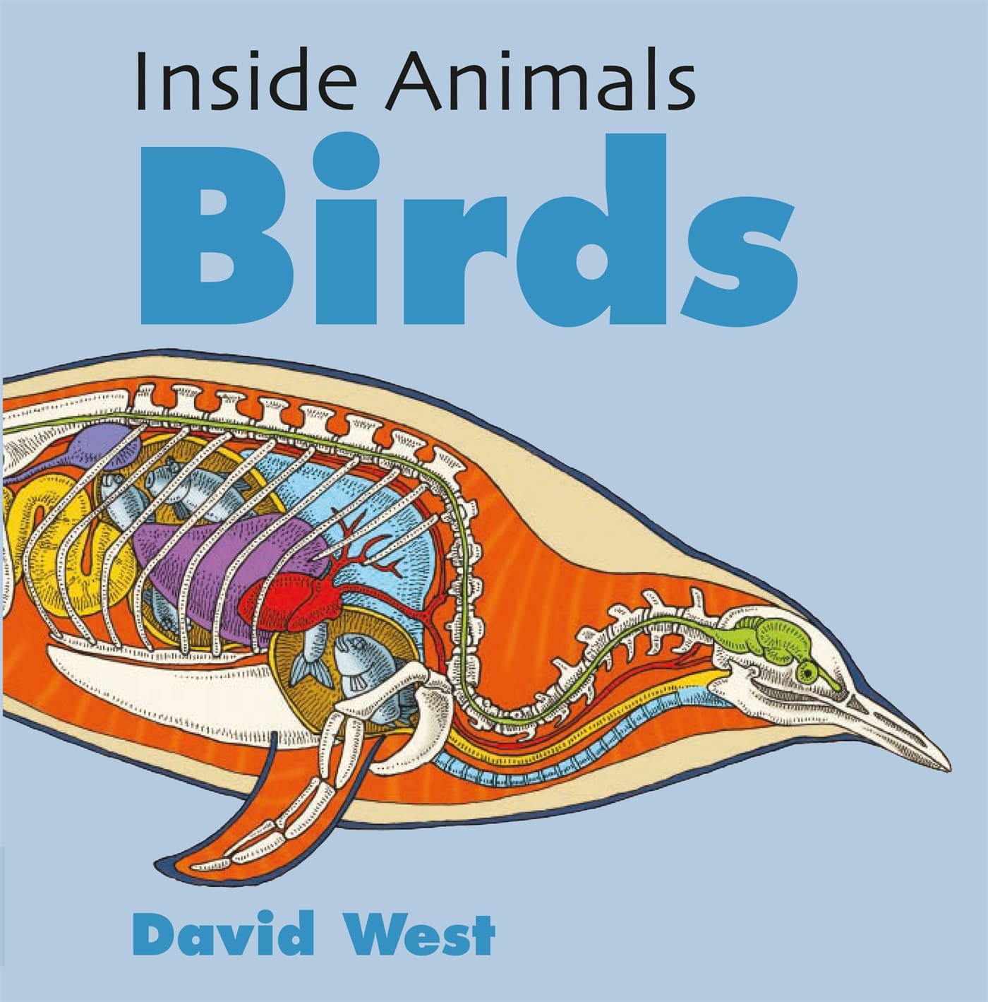 Inside Animals: Birds - Hachette Schools