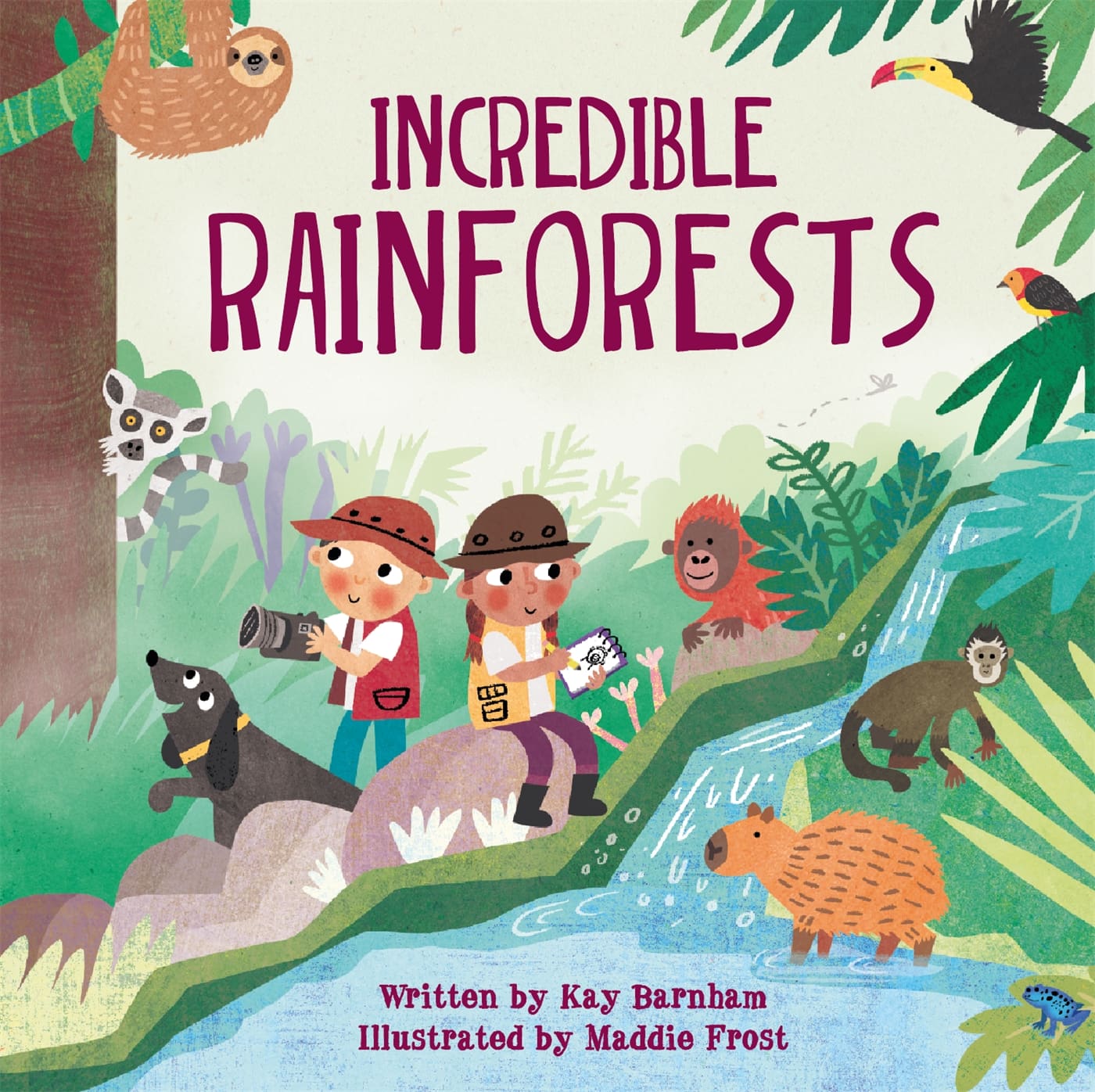 Look and Wonder: Incredible Rainforests - Hachette Schools