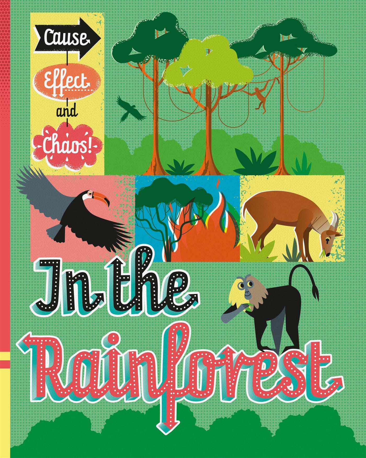 Cause, Effect and Chaos!: In the Rainforest - Hachette Schools