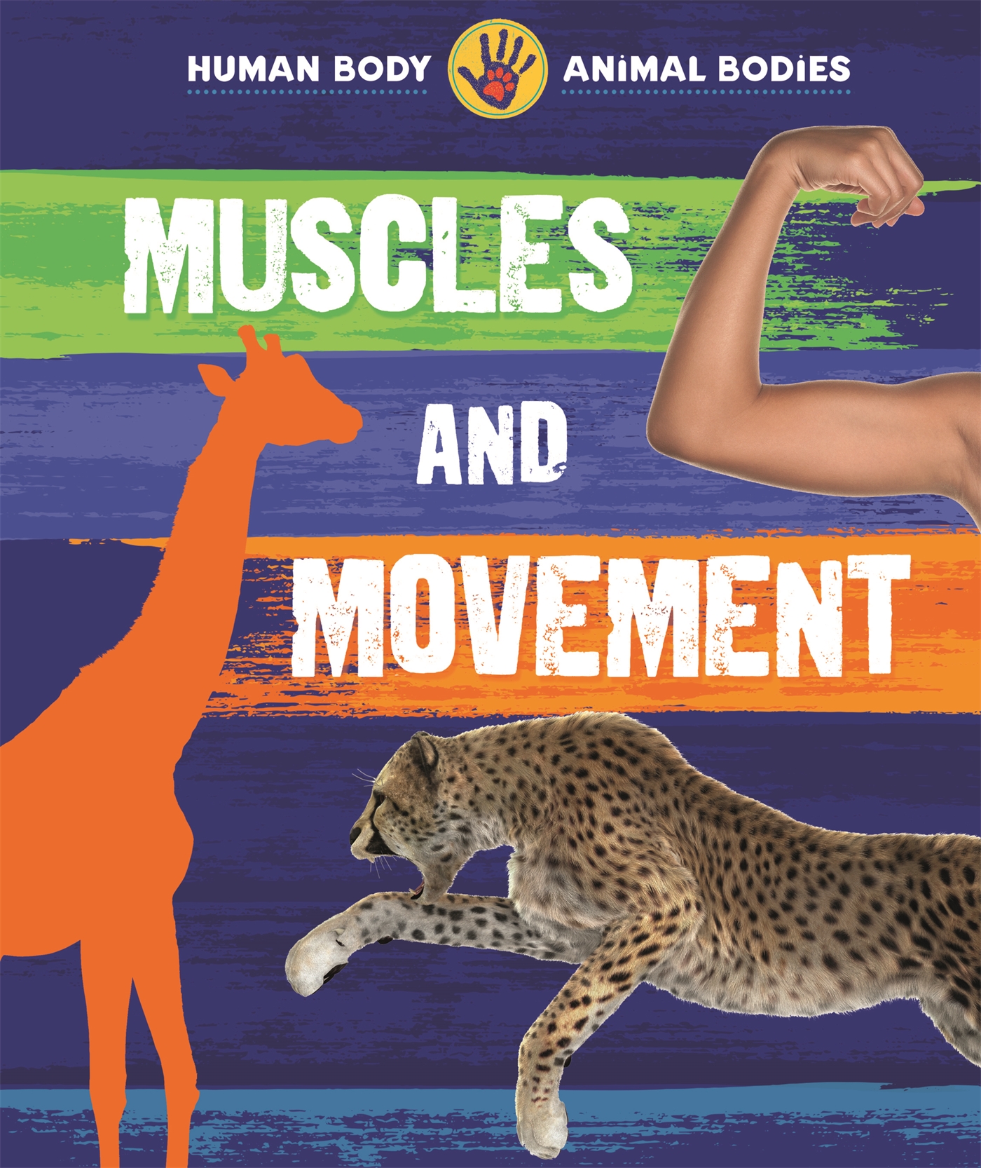 Human Body, Animal Bodies: Muscles and Movement - Hachette Schools