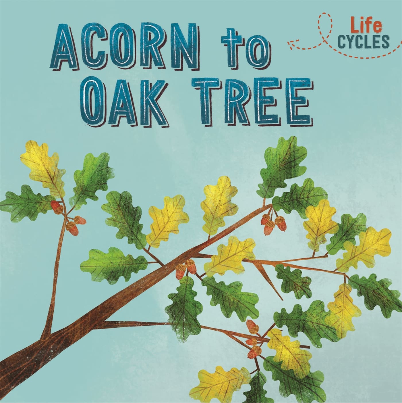 Life Cycles: Acorn to Oak Tree - Hachette Schools