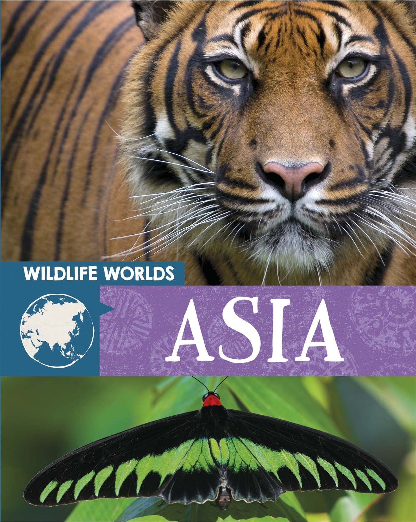 Wildlife Worlds: Asia - Hachette Schools