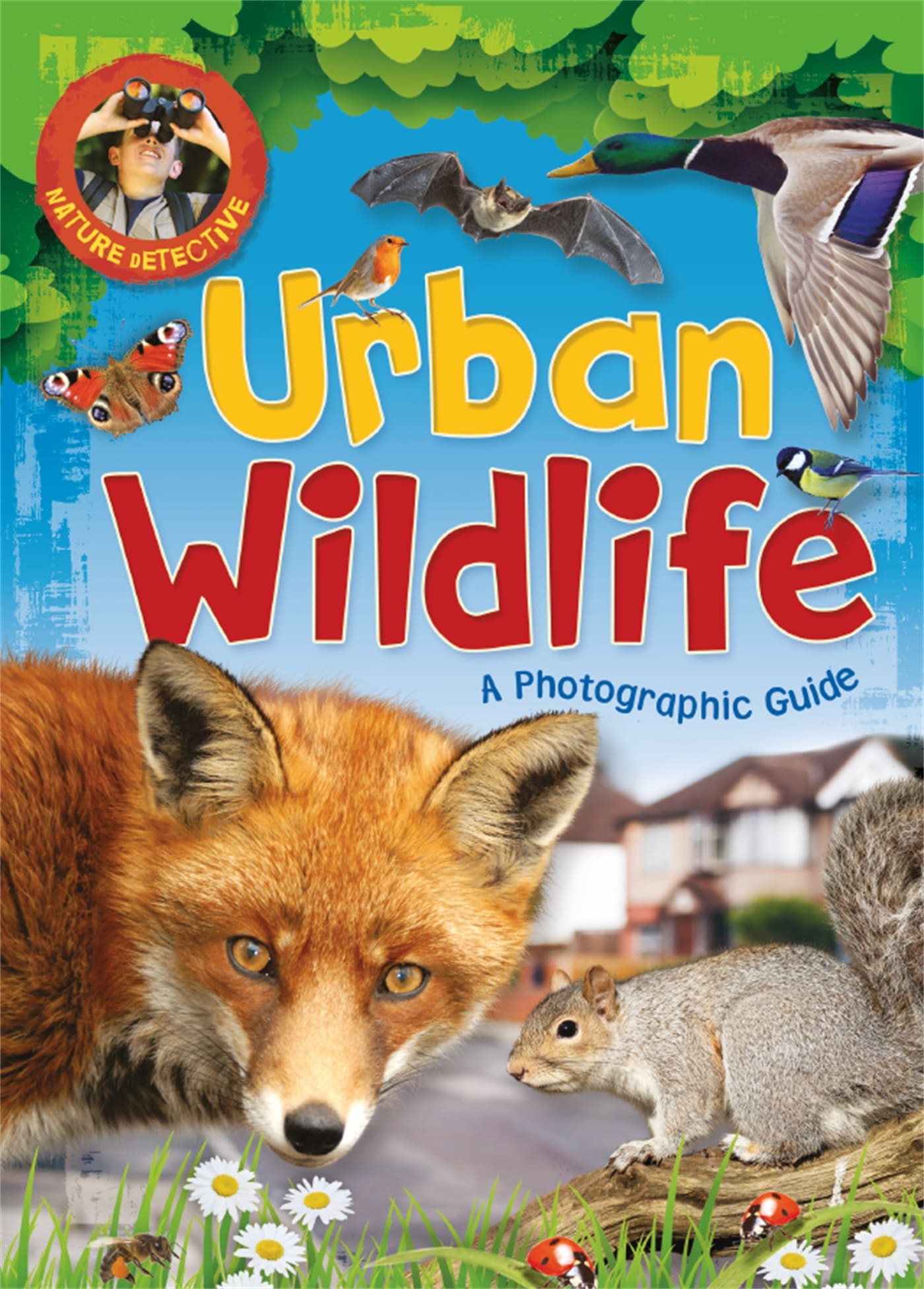 Nature Detective: Urban Wildlife - Hachette Schools