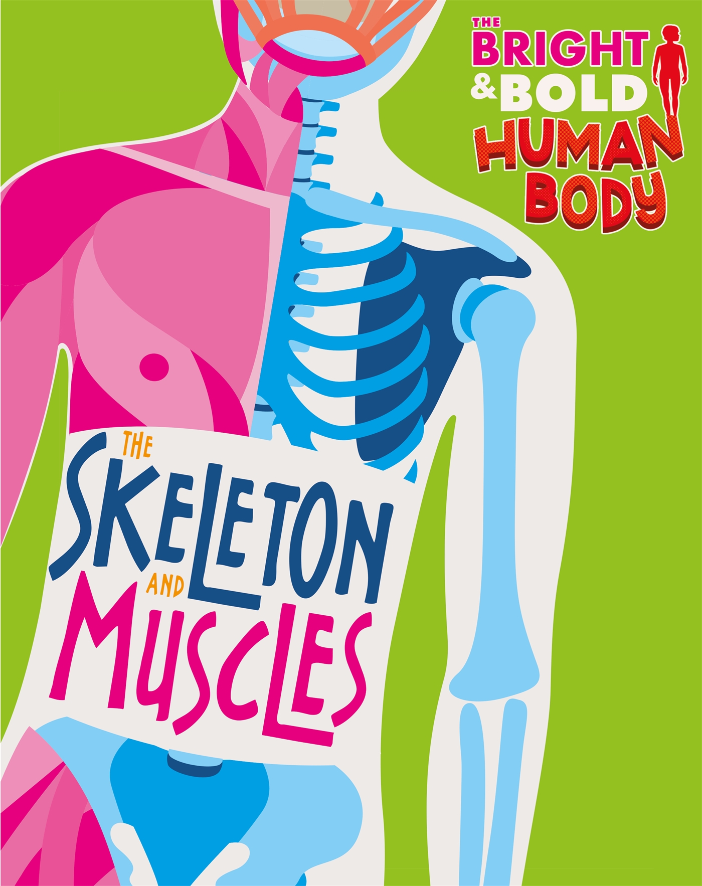 The Bright and Bold Human Body: The Skeleton and Muscles - Hachette Schools