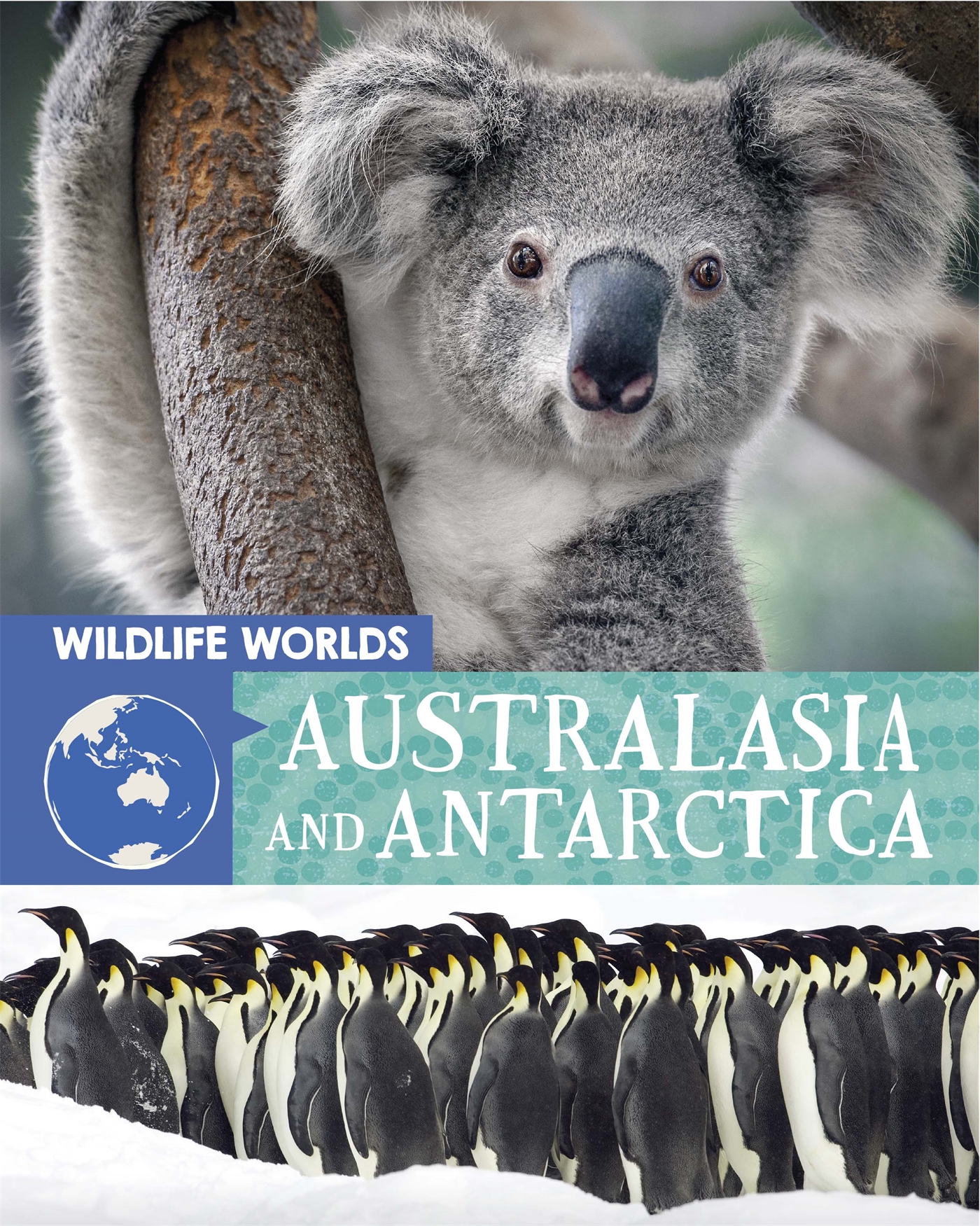 Wildlife Worlds: Australasia and Antarctica - Hachette Schools