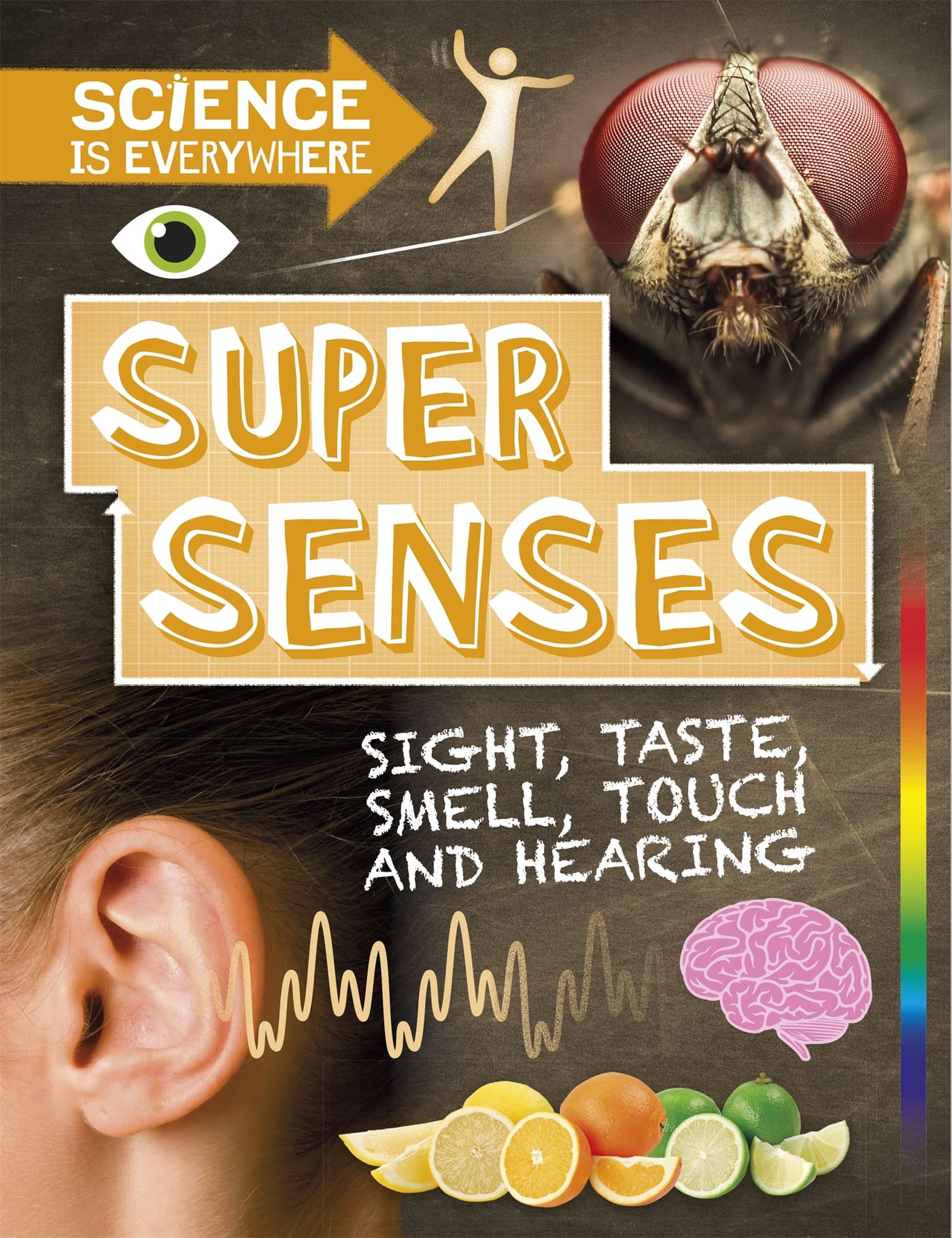 Science is Everywhere: Super Senses - Hachette Schools