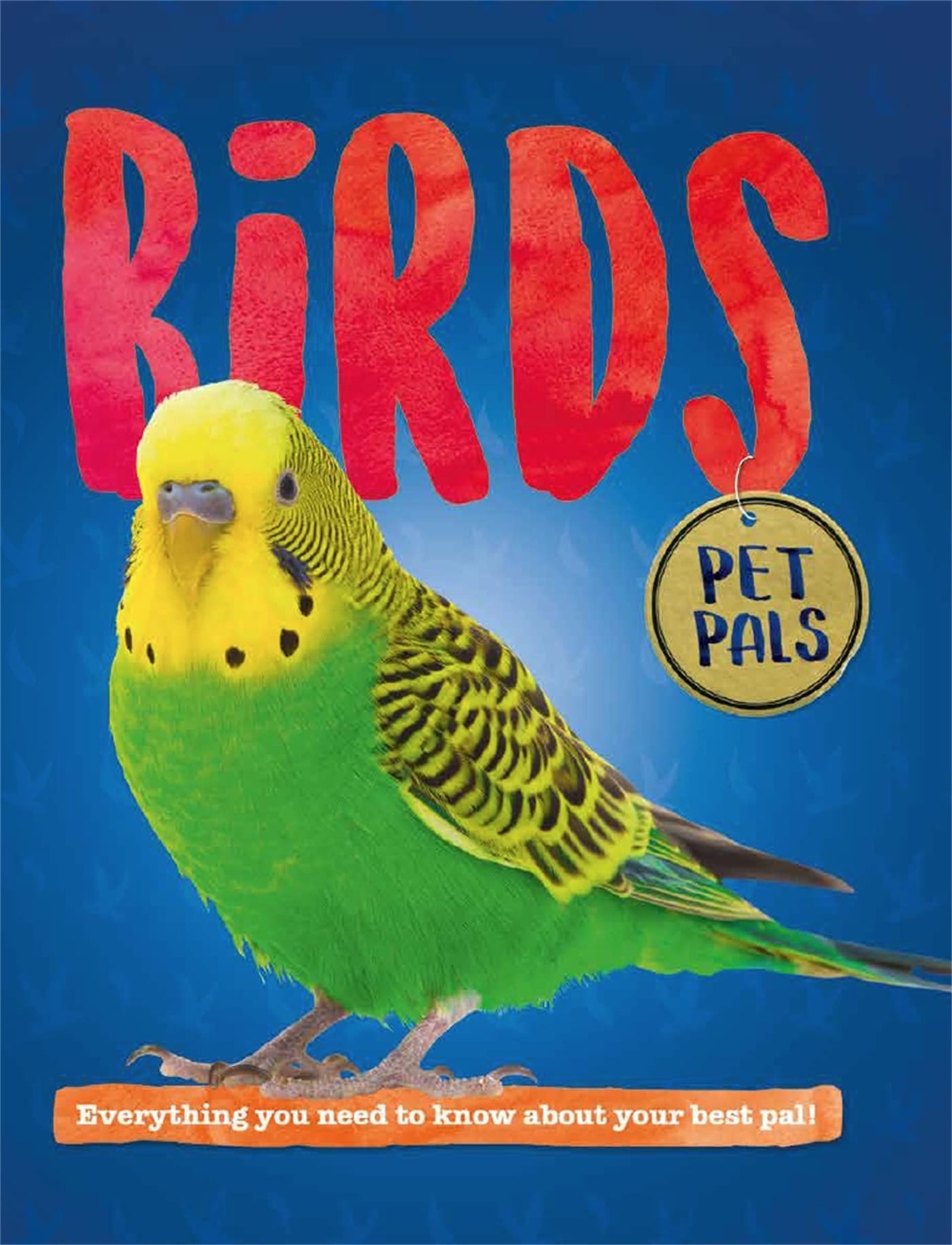 Hachette Schools Pet Pals: Birds - Hachette Schools