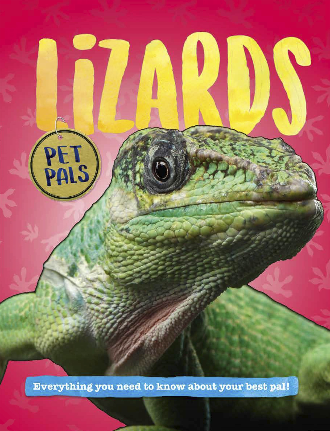 Pet Pals: Lizards - Hachette Schools