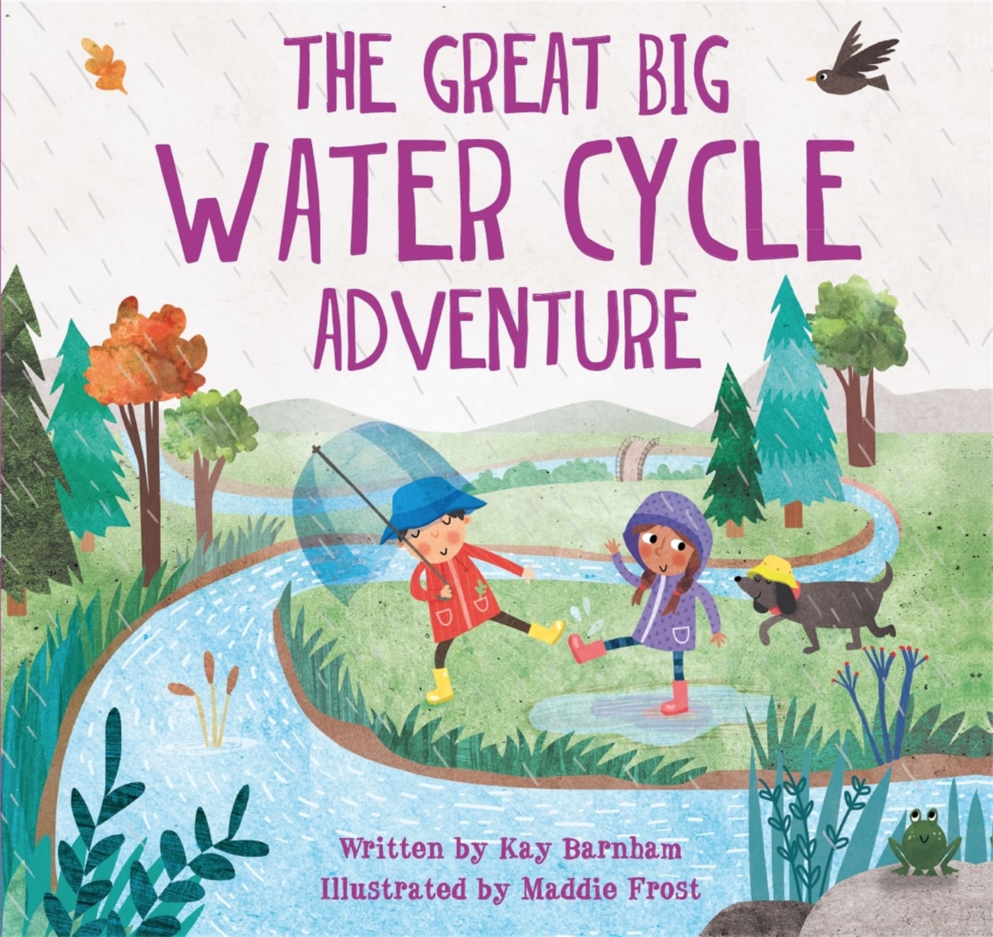 Look and Wonder: The Great Big Water Cycle Adventure - Hachette Schools