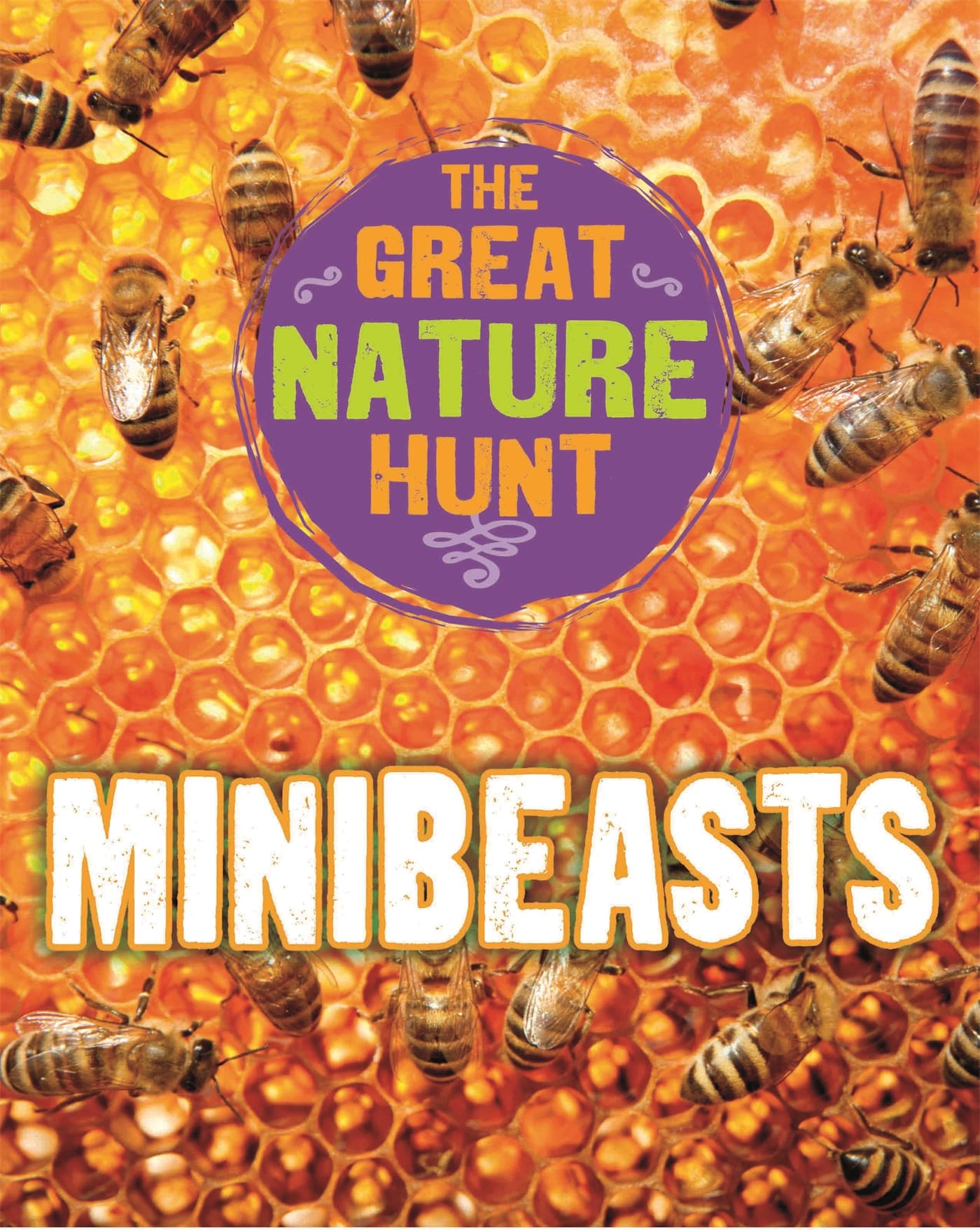 The Great Nature Hunt: Minibeasts - Hachette Schools