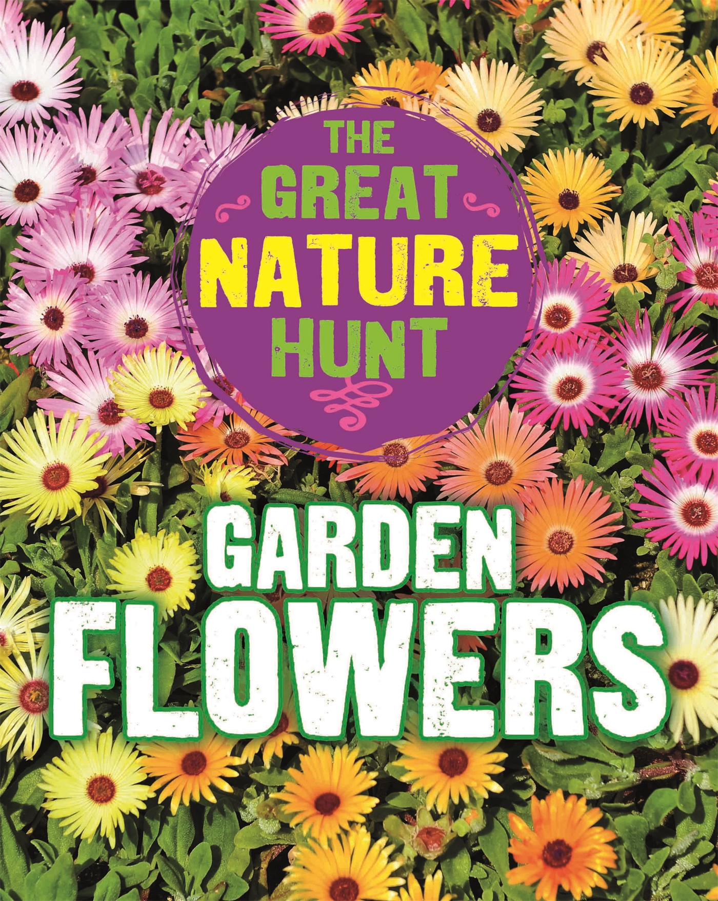 The Great Nature Hunt: Garden Flowers - Hachette Schools