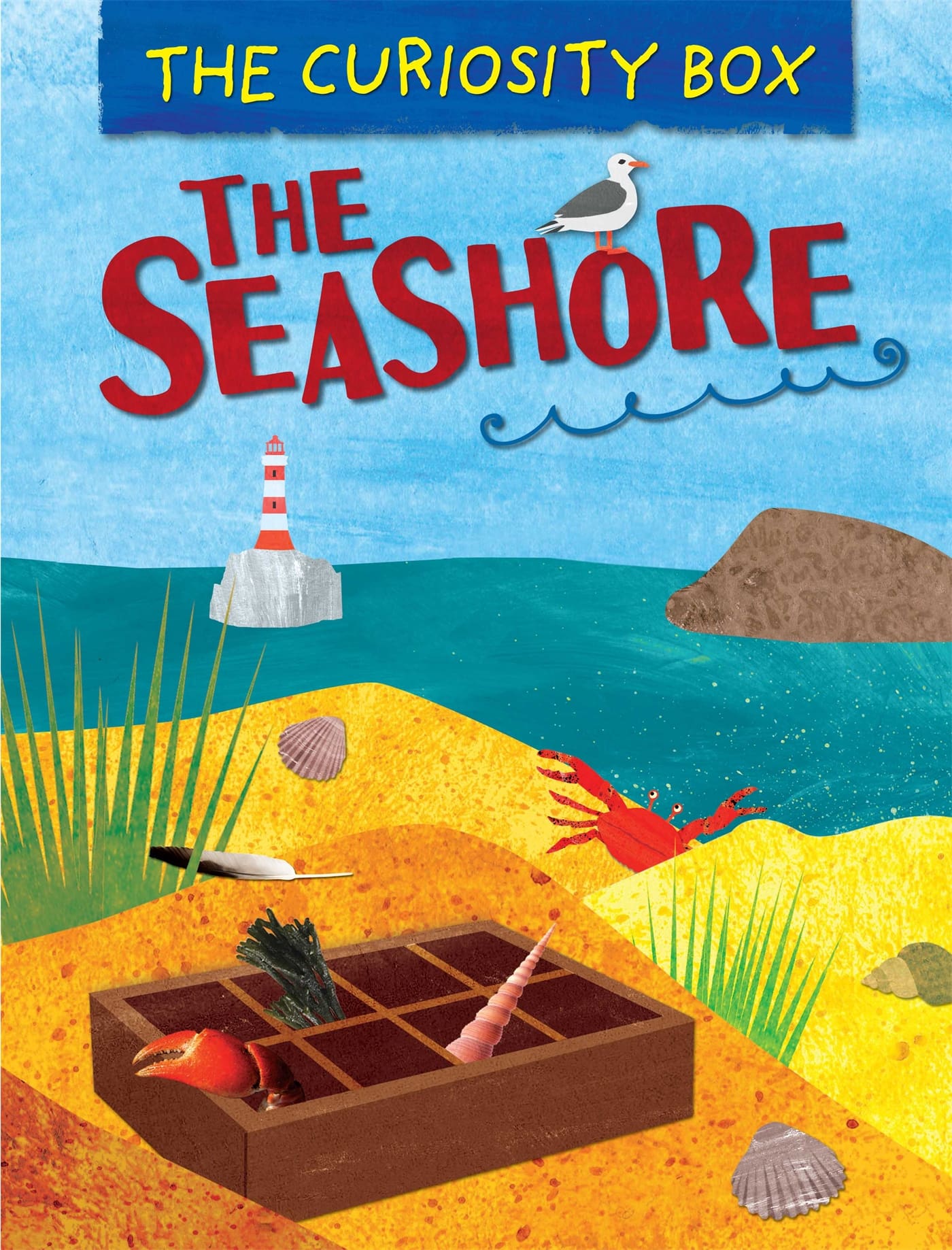 The Curiosity Box: The Seashore - Hachette Schools