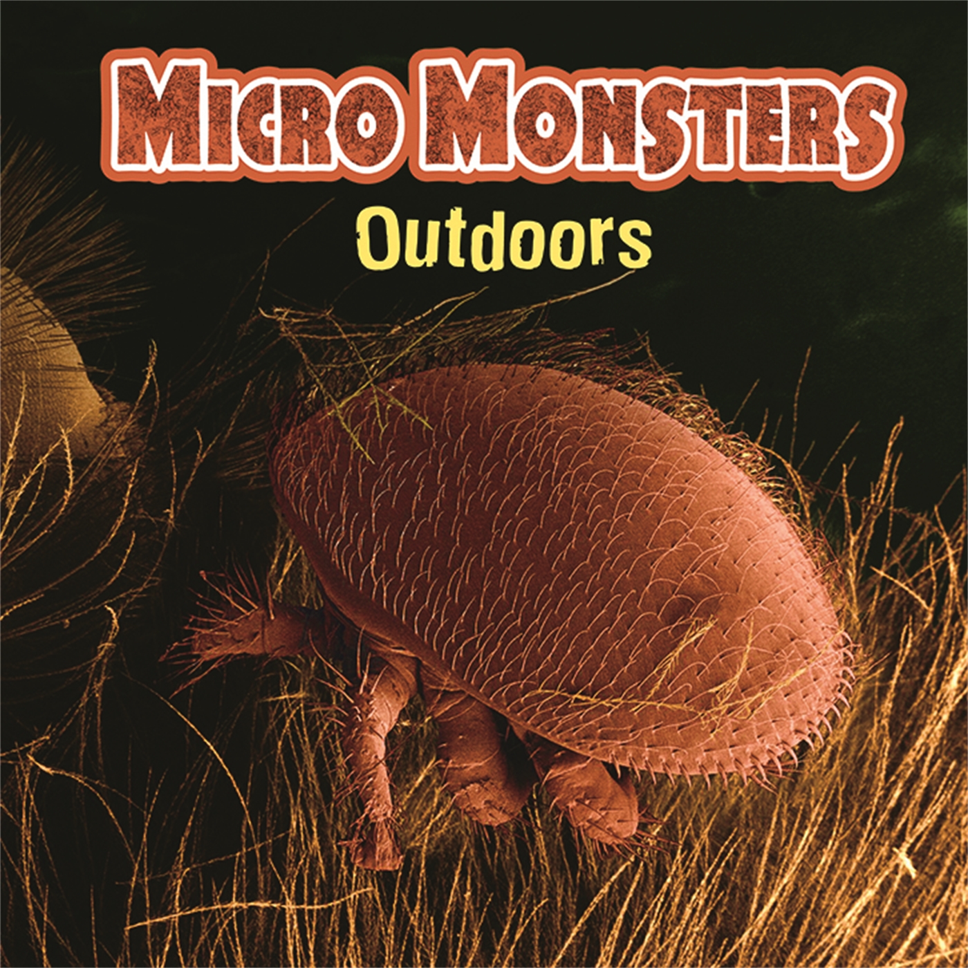 Micro Monsters: Outdoors - Hachette Schools
