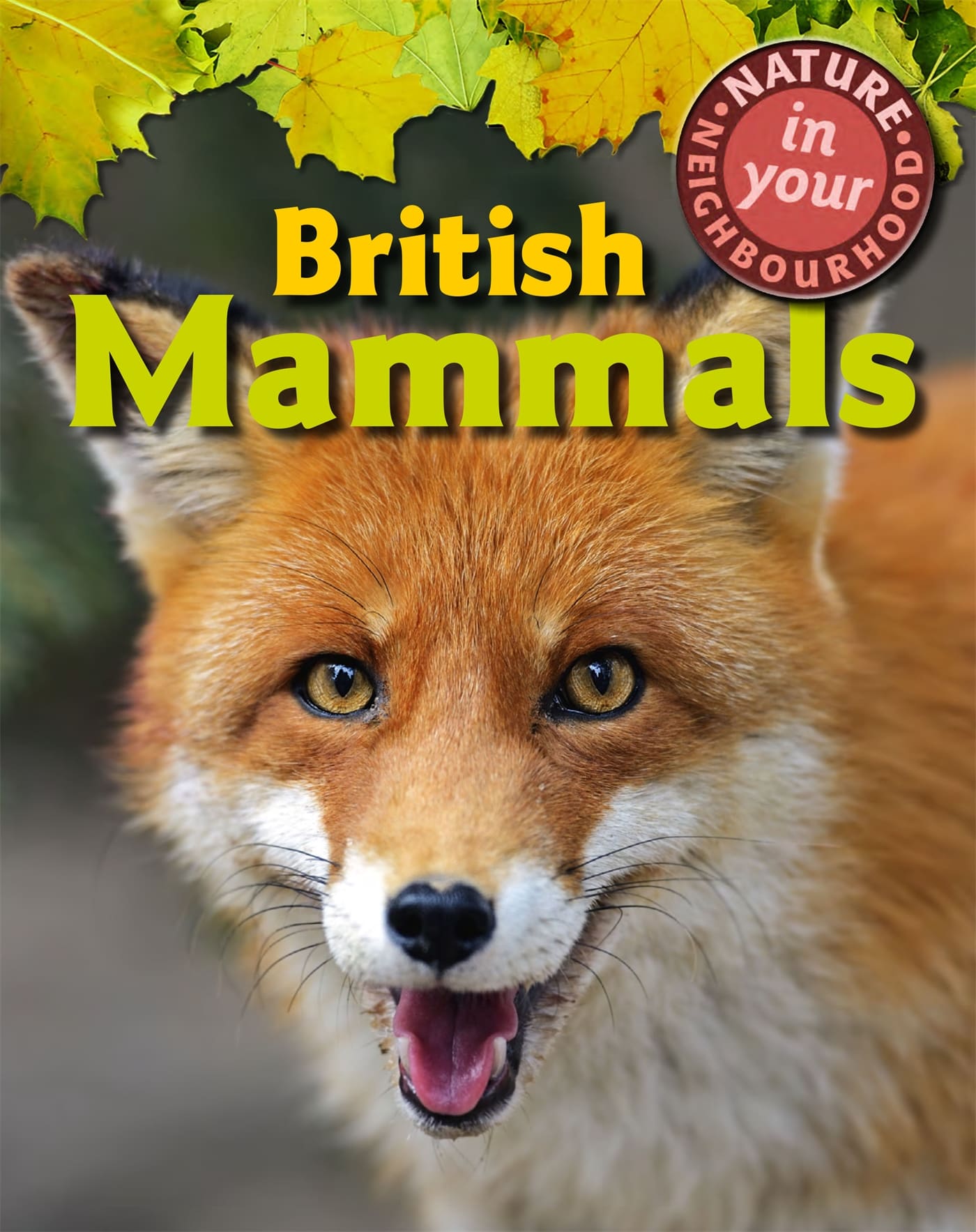 Hachette Schools Nature in Your Neighbourhood: British Mammals ...