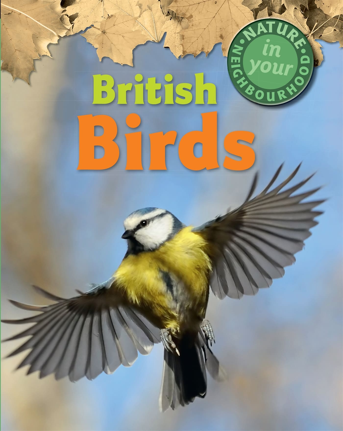 Hachette Schools Nature in Your Neighbourhood: British Birds - Hachette ...