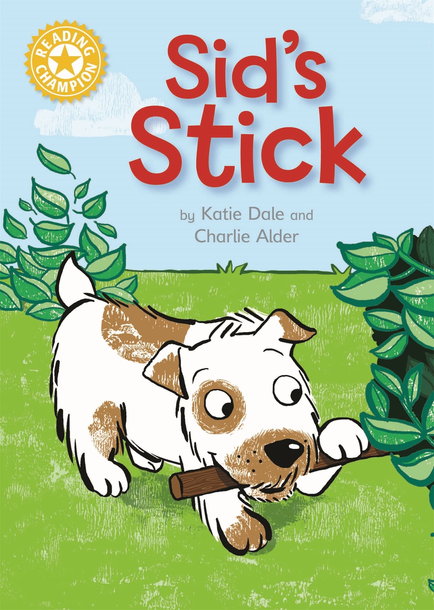 Reading Champion: Sid's Stick - Hachette Schools