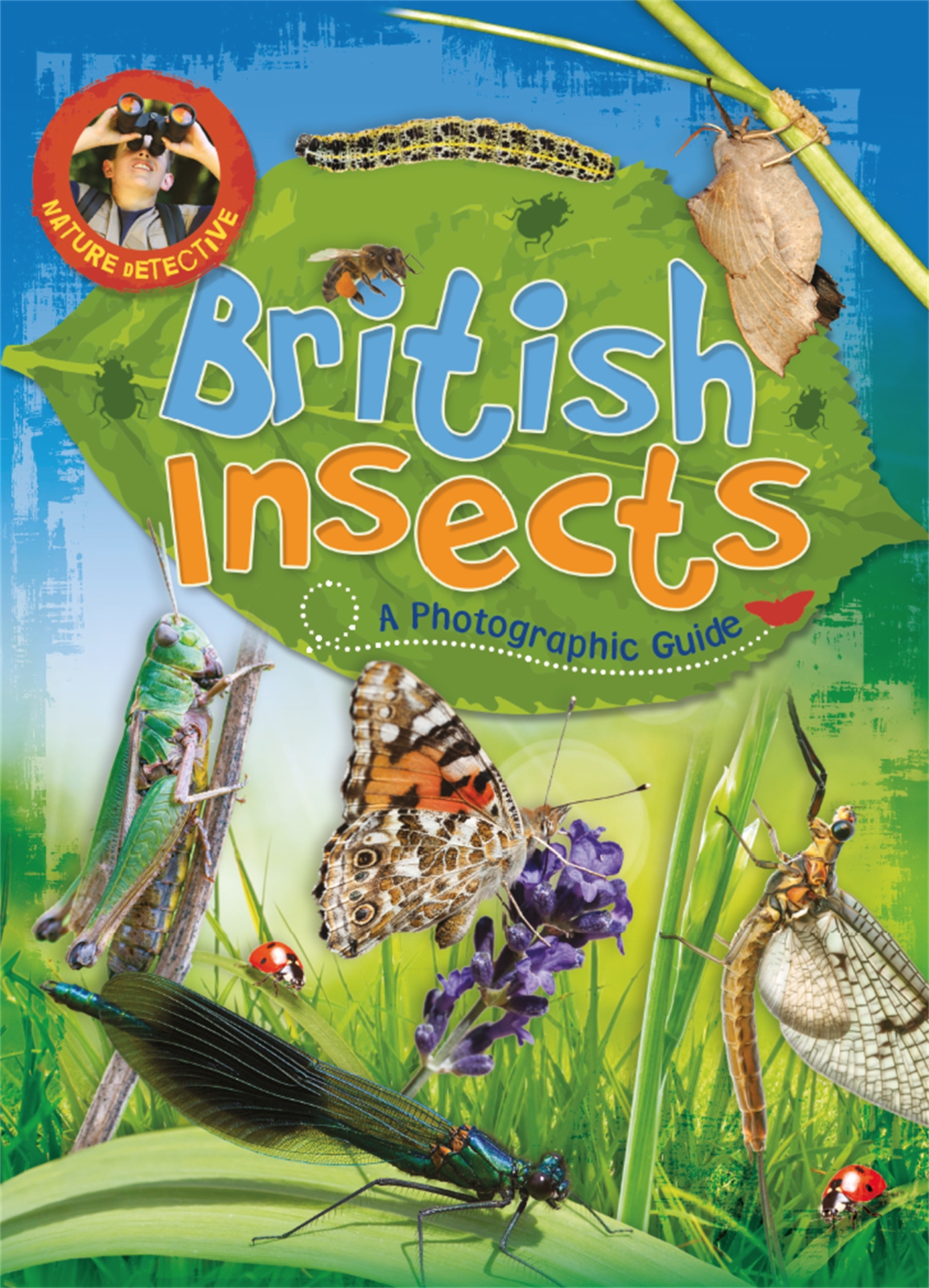Nature Detective: British Insects - Hachette Schools