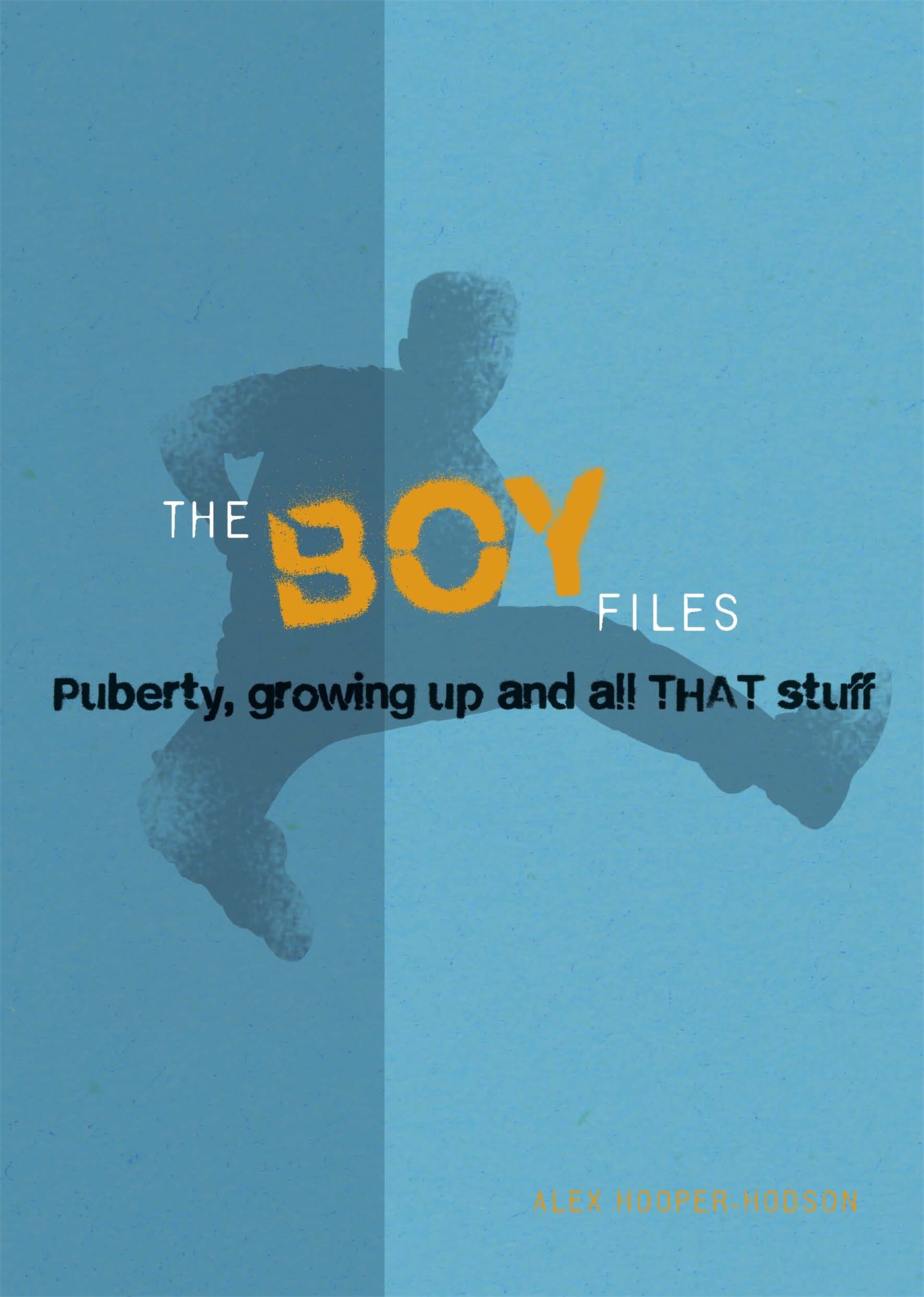 The Boy Files - Hachette Schools