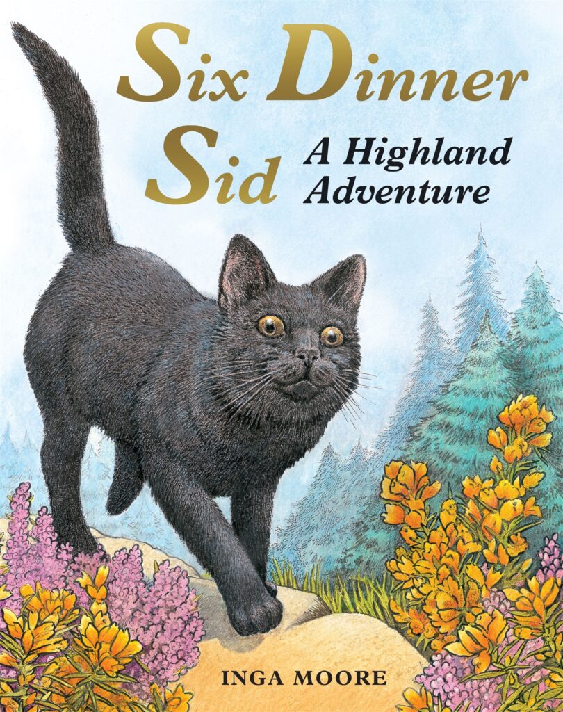 Six Dinner Sid: A Highland Adventure - Hachette Schools