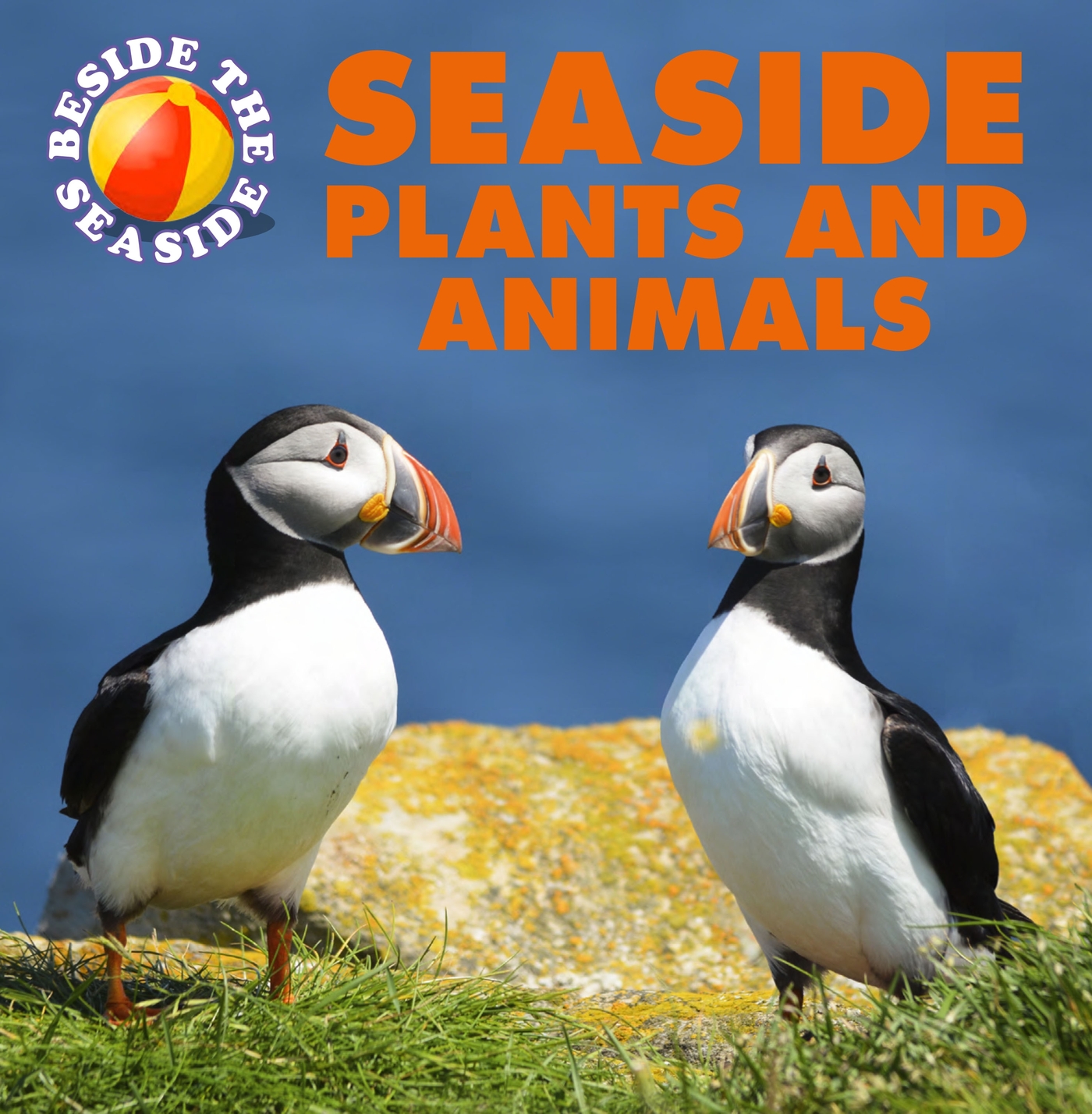 Beside the Seaside: Seaside Plants and Animals - Hachette Schools