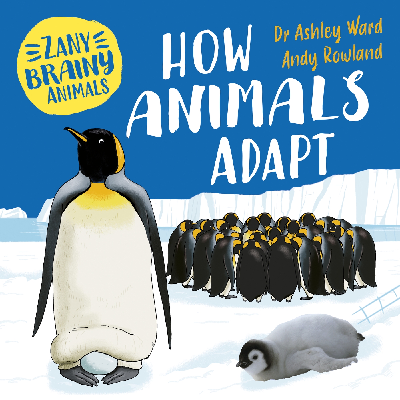 Zany Brainy Animals: How Animals Adapt - Hachette Schools