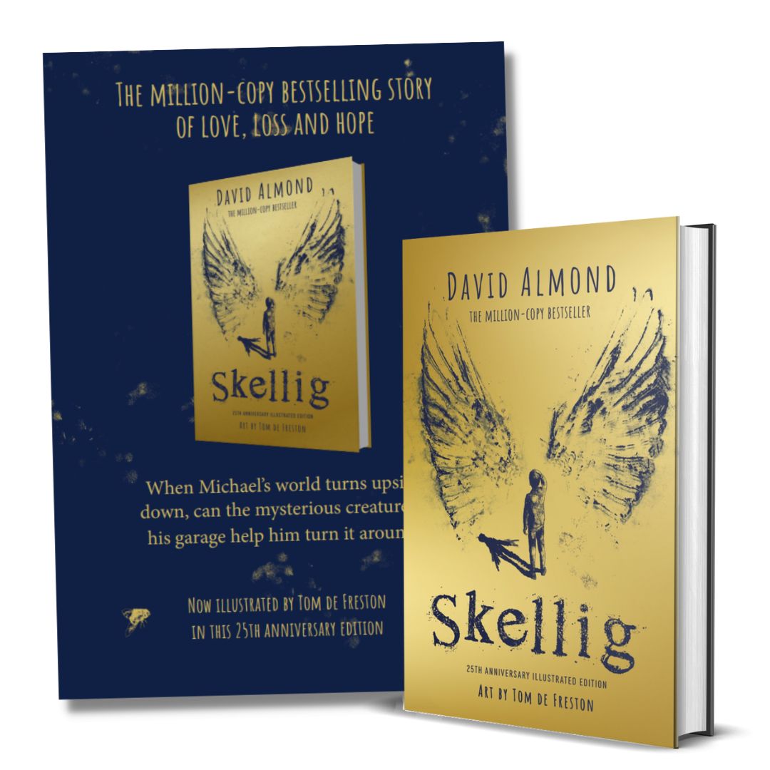 Skellig – Poster - Hachette Schools