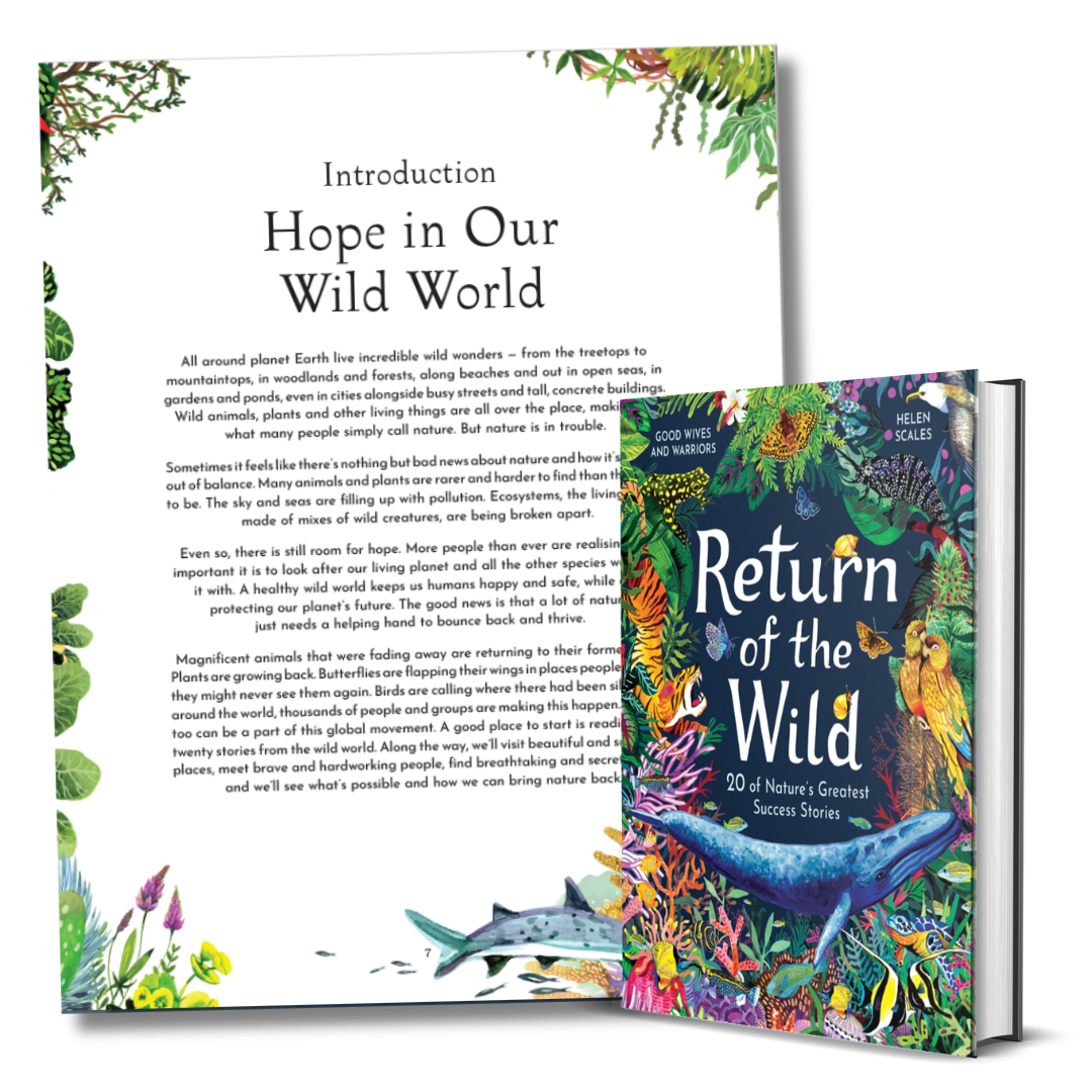 Return of the Wild – Chapter Extract - Hachette Schools