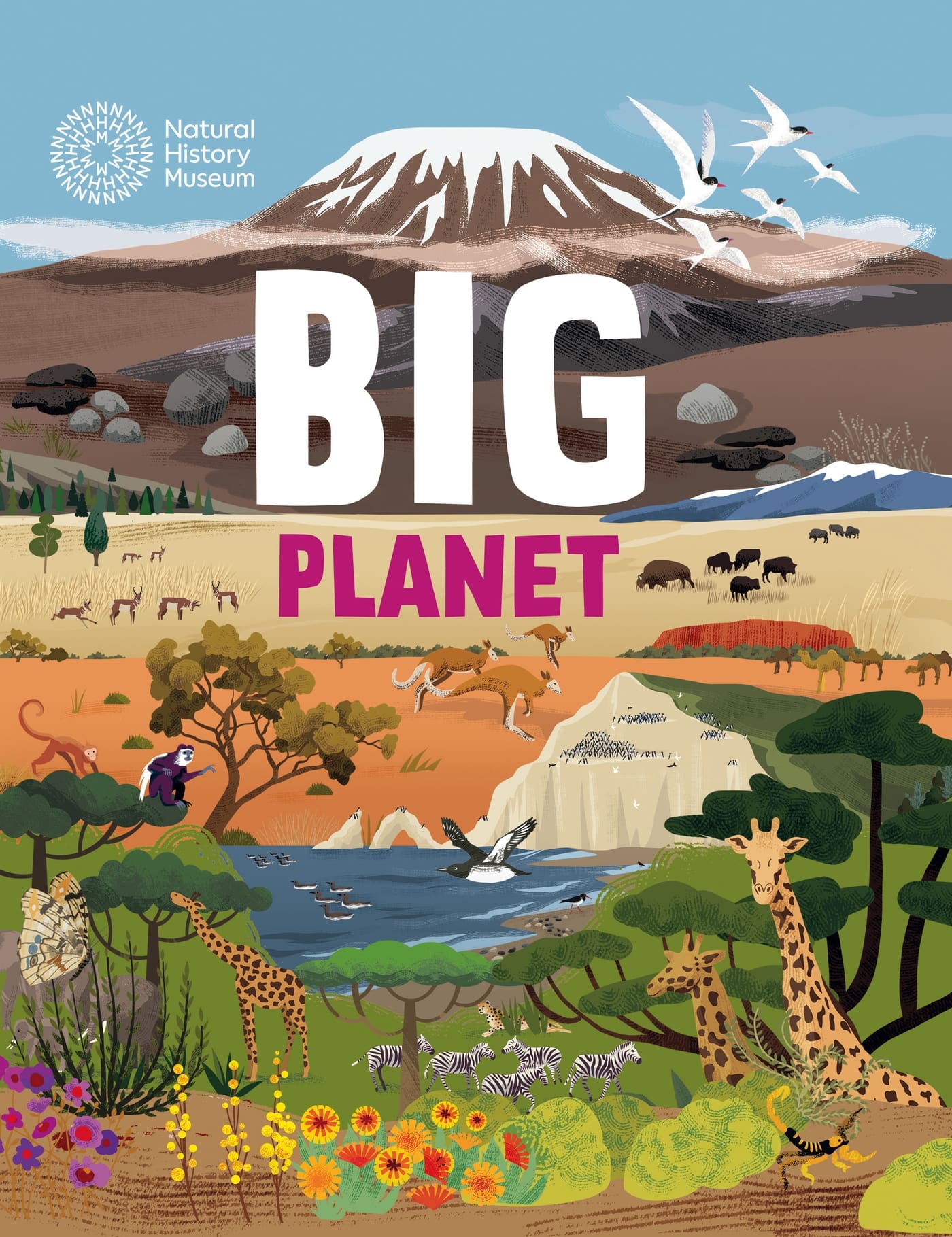 Big Planet - Hachette Schools