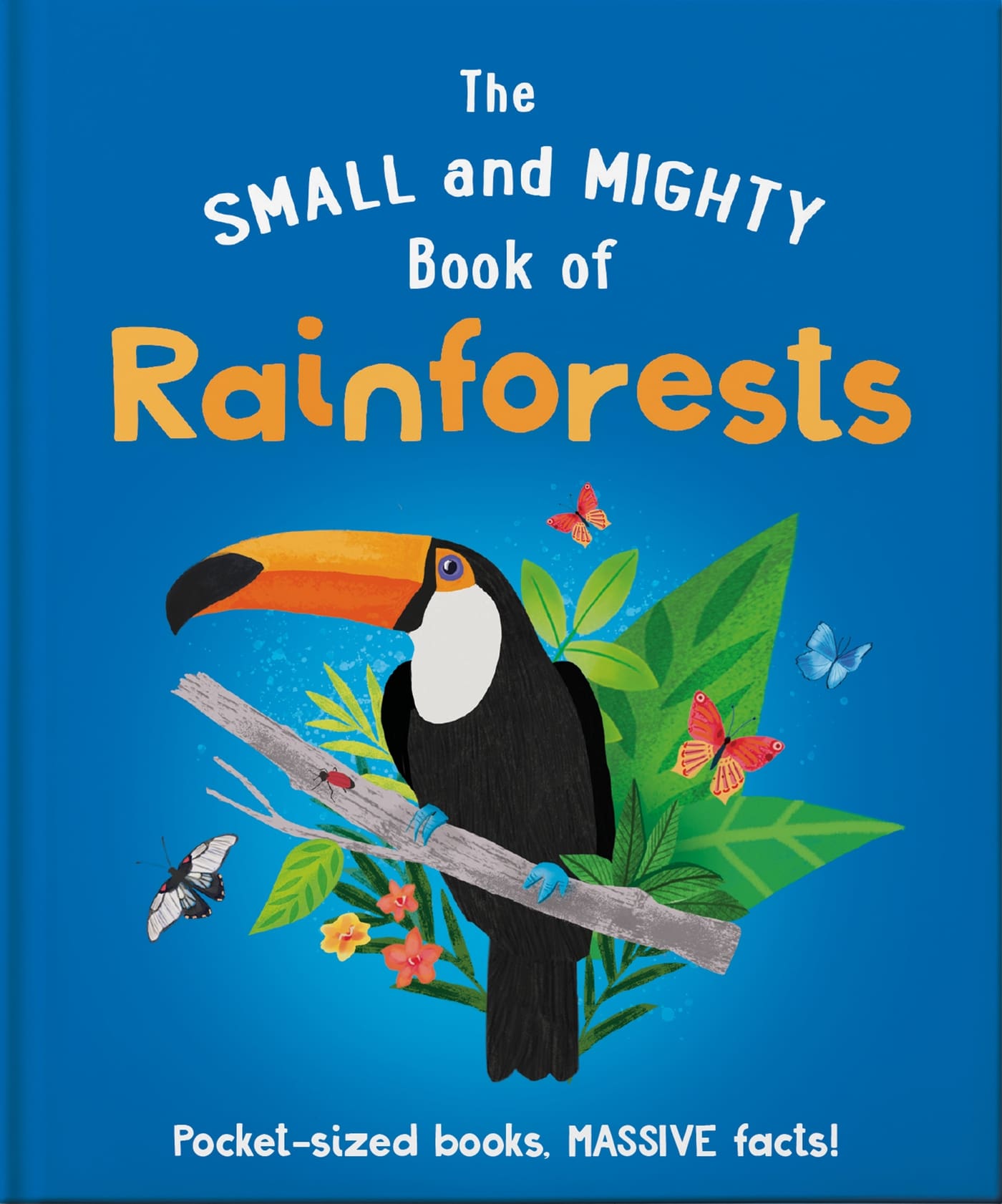 The Small and Mighty Book of Rainforests - Hachette Schools