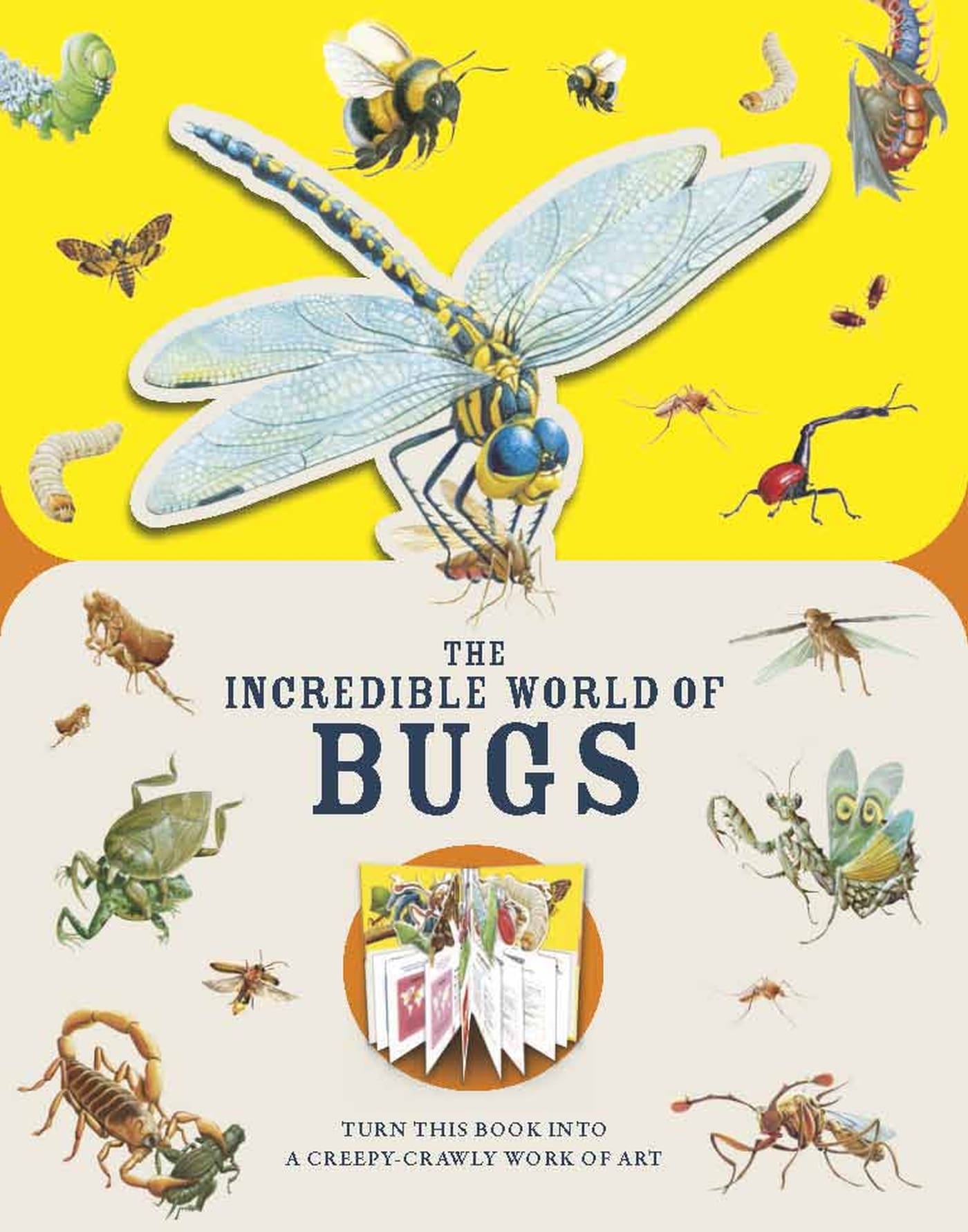 Hachette Schools Paperscapes: The Incredible World of Bugs - Hachette ...