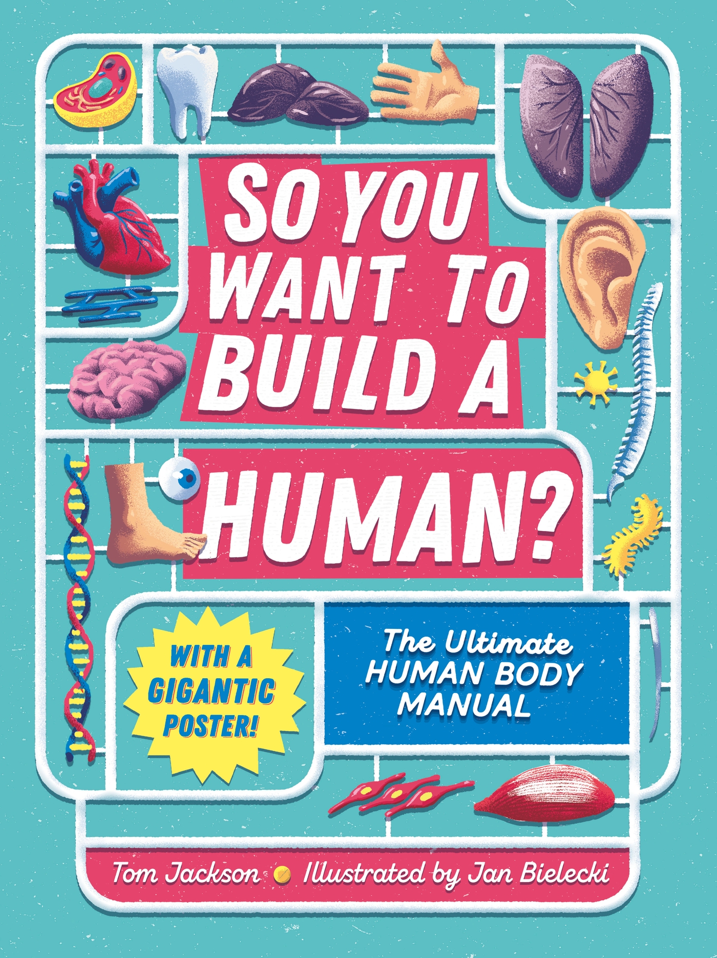 So You Want to Build a Human? - Hachette Schools