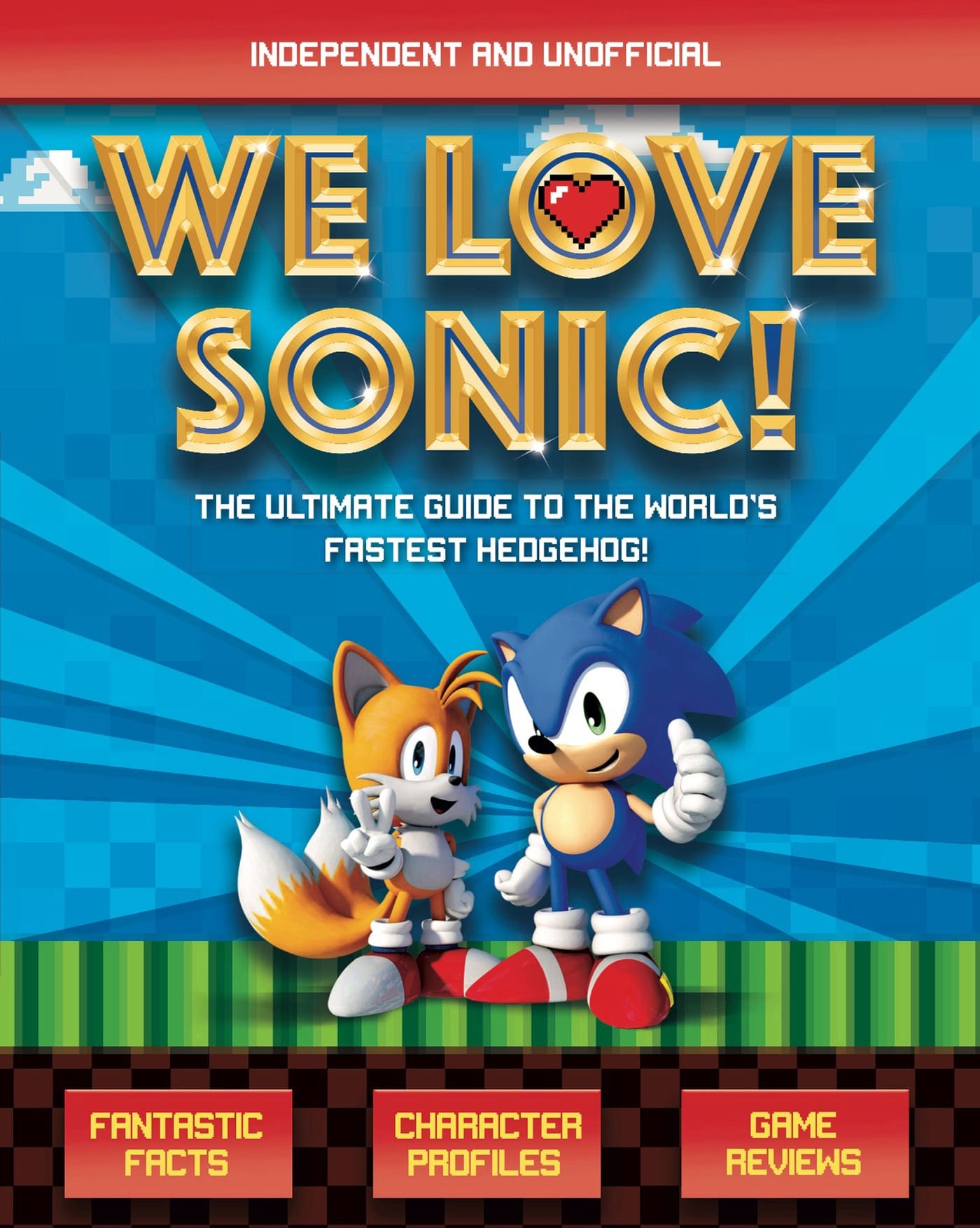 Hachette Schools We Love Sonic! (Independent and Unofficial) - Hachette ...