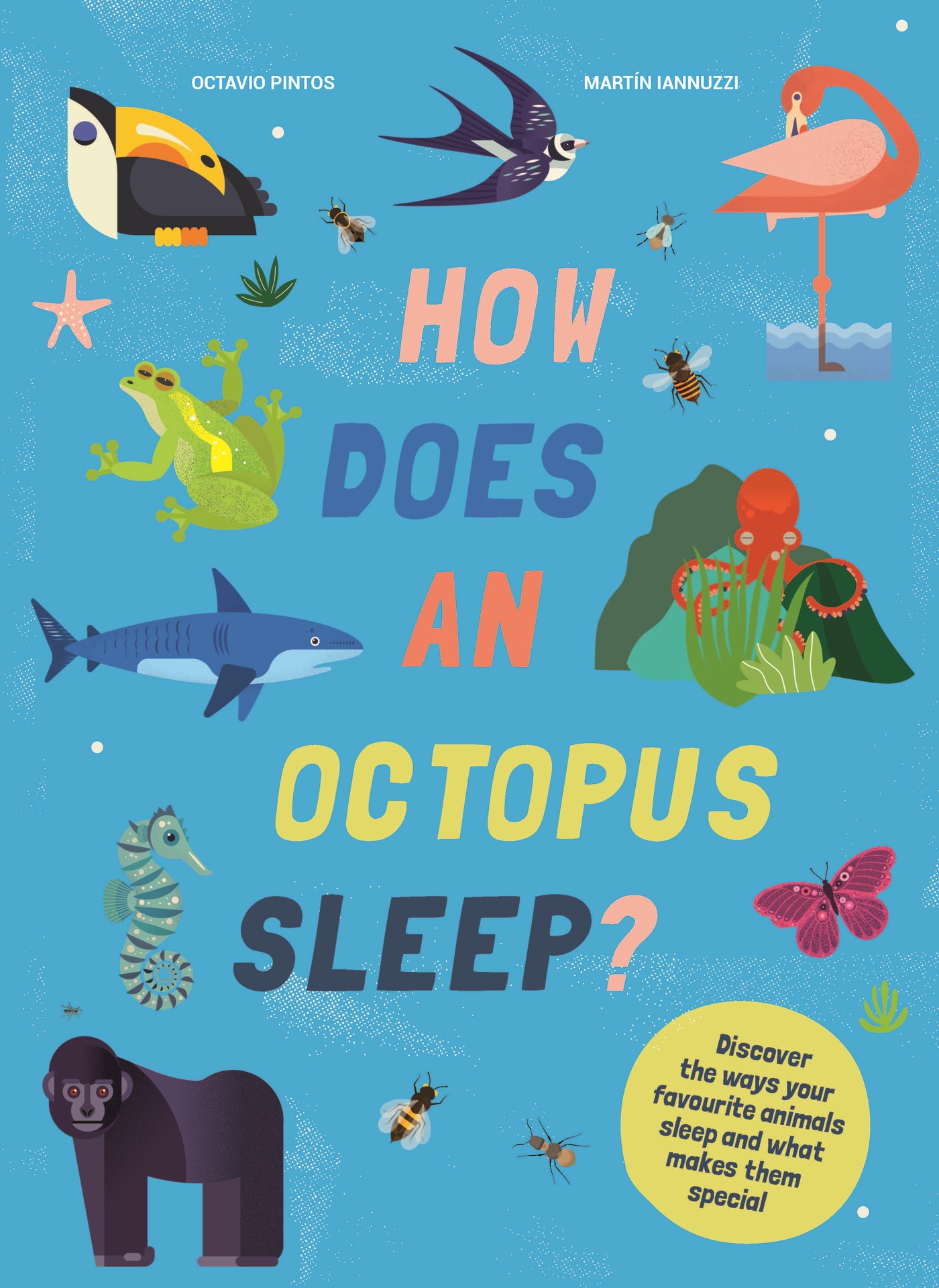 How Does An Octopus Sleep? - Hachette Schools