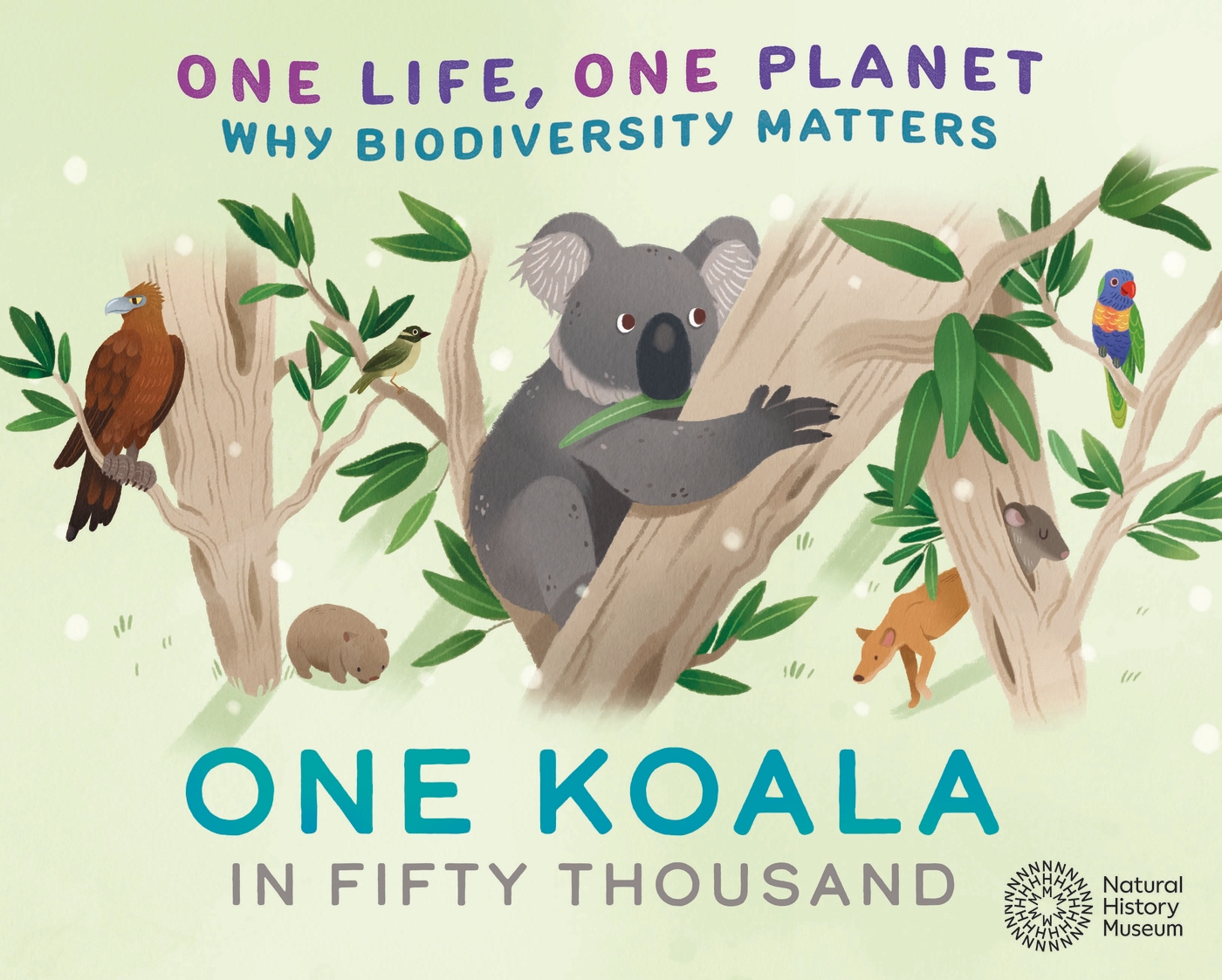 One Life, One Planet: One Koala in Fifty Thousand - Hachette Schools