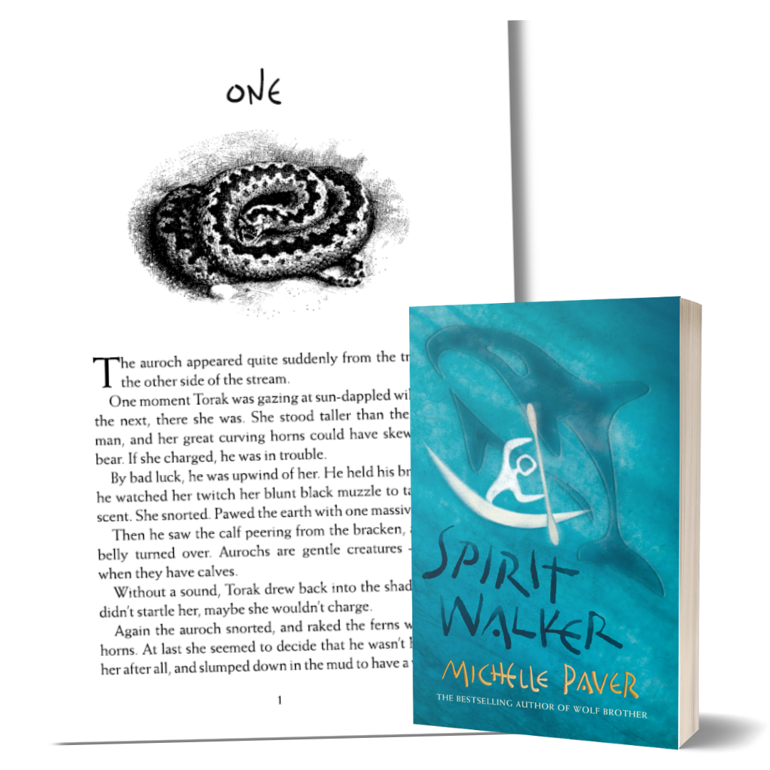 Spirit Walker – Extract - Hachette Schools