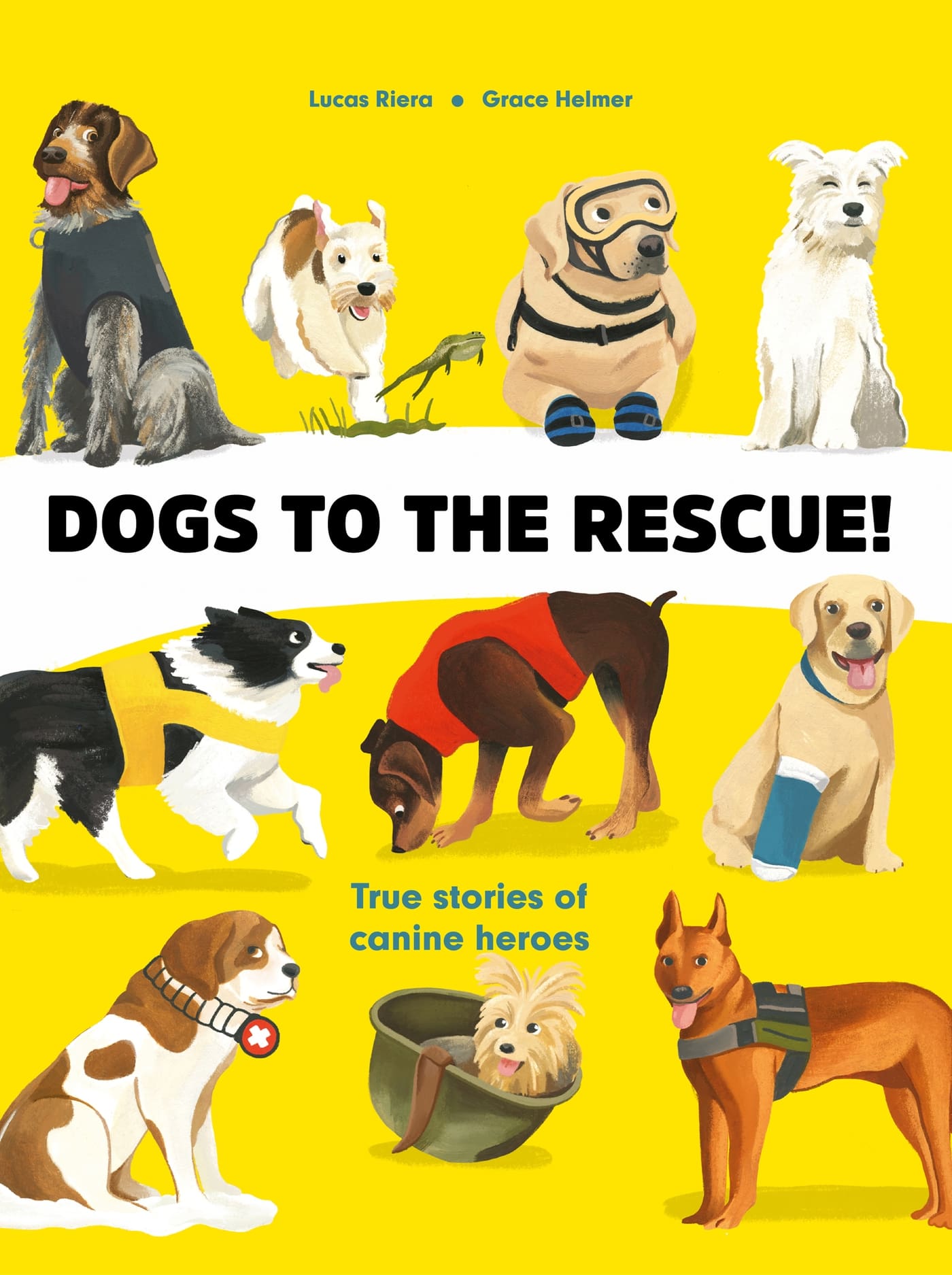 Dogs to the Rescue - Hachette Schools