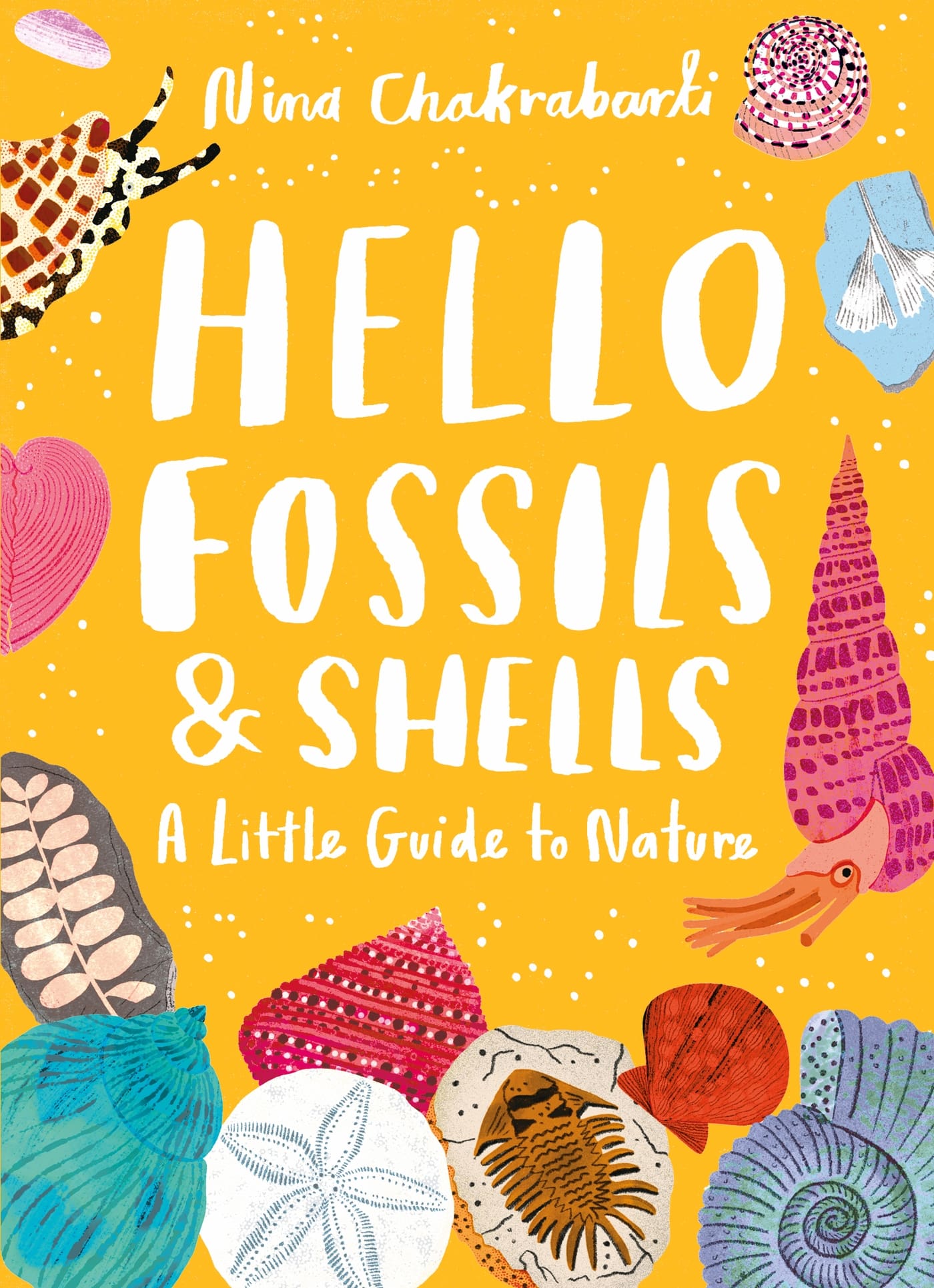 Little Guides to Nature: Hello Fossils and Shells - Hachette Schools