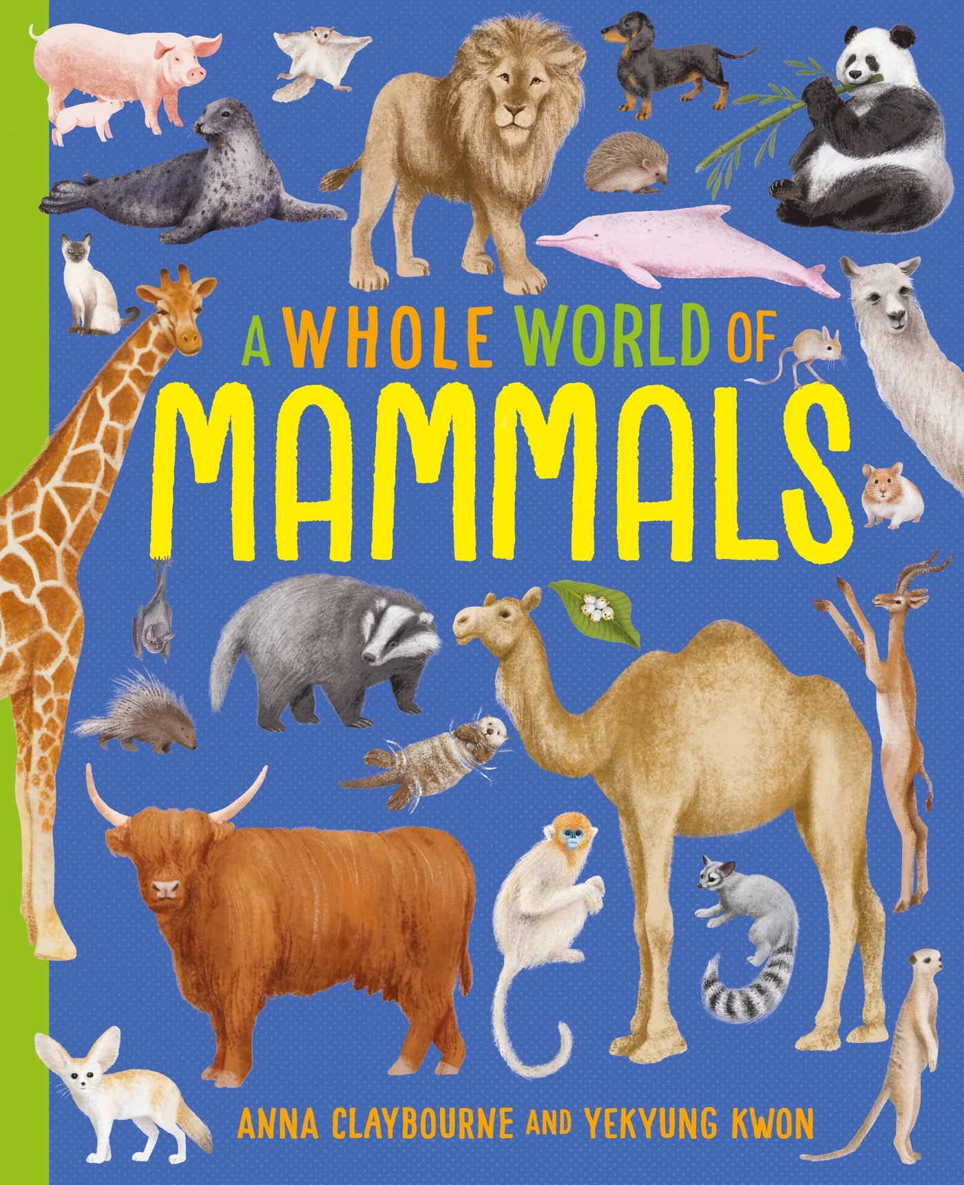 A Whole World of…: Mammals - Hachette Schools