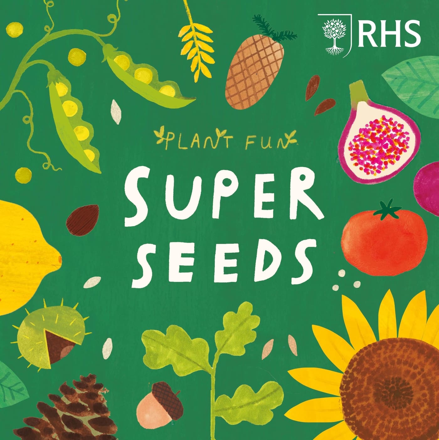 Plant Fun: Super Seeds - Hachette Schools